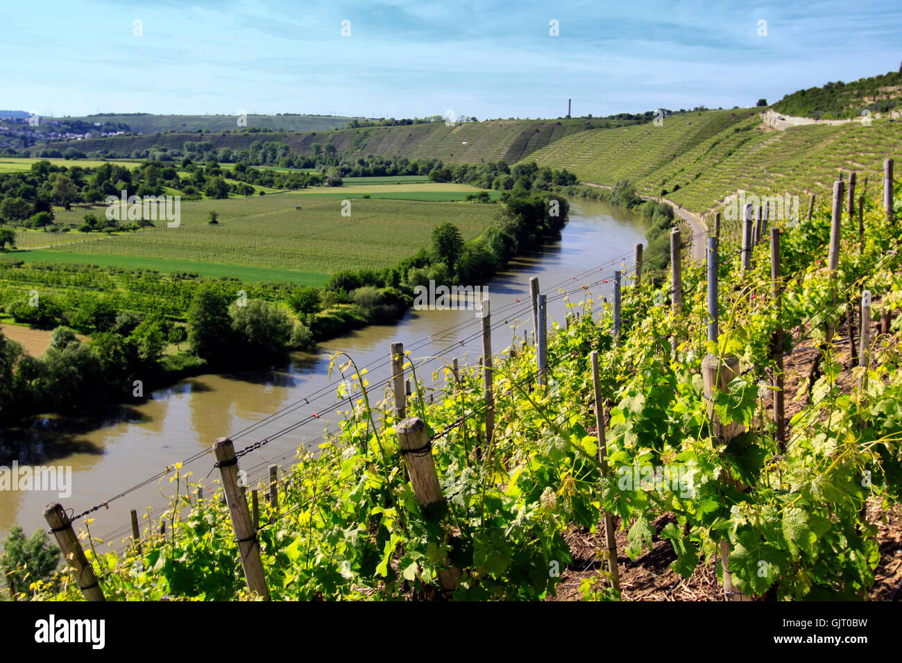 Hessigheimer felsengarten Banque de photographies et d’images à haute ...