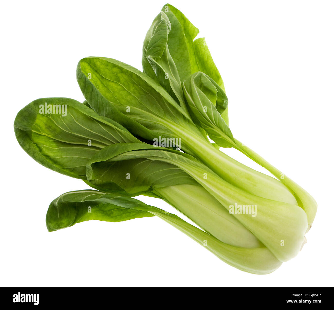 Pak choi paksoi Banque de photographies et d’images à haute résolution ...