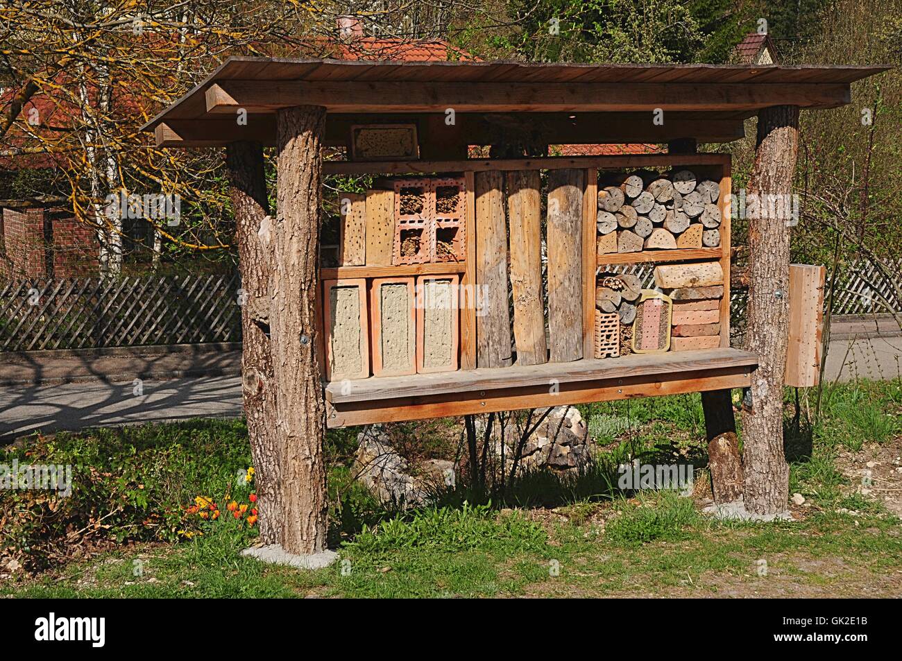 Insectes de printemps Banque de photographies et d’images à haute ...