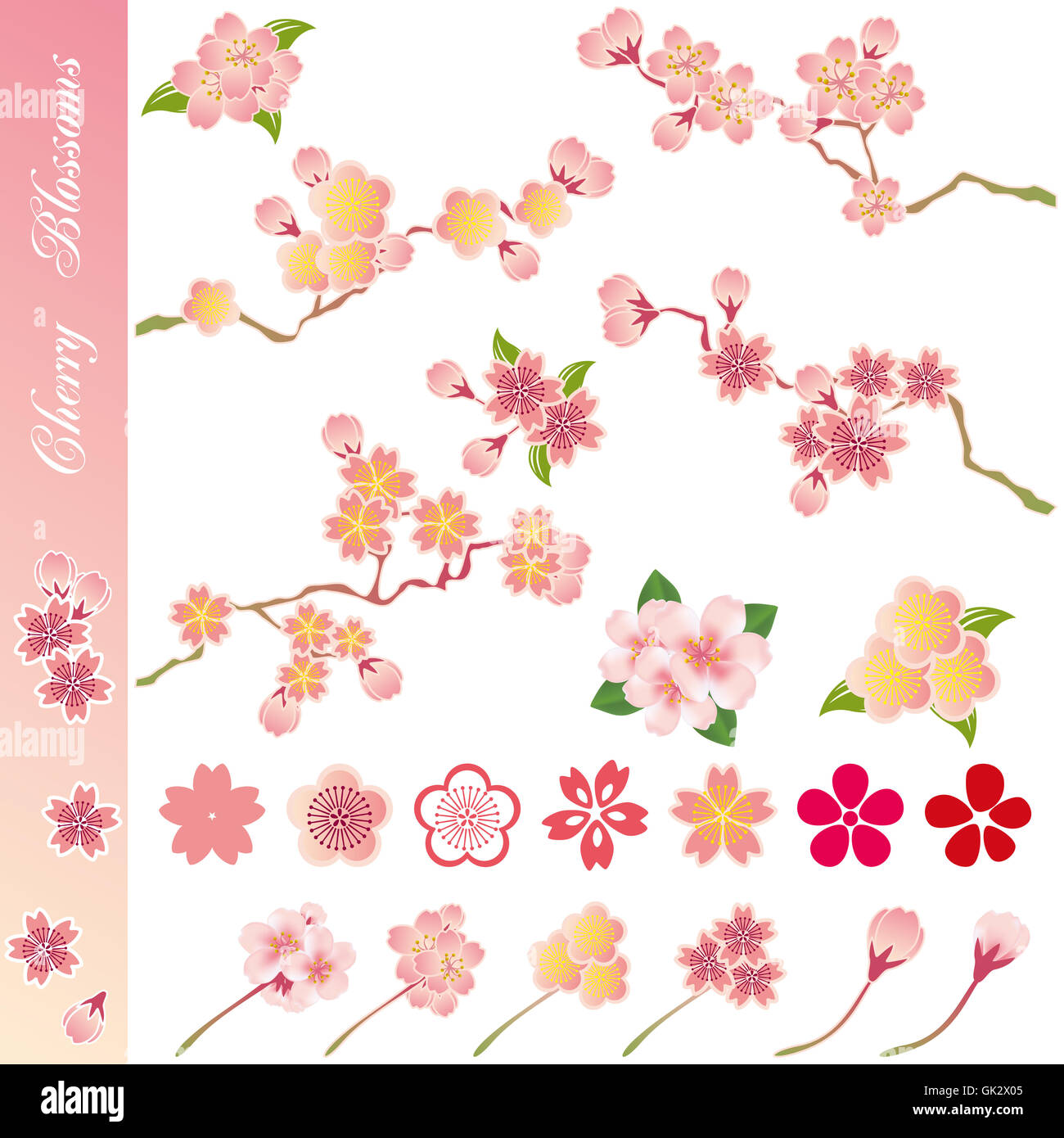 La floraison des plantes à fleurs Photo Stock - Alamy