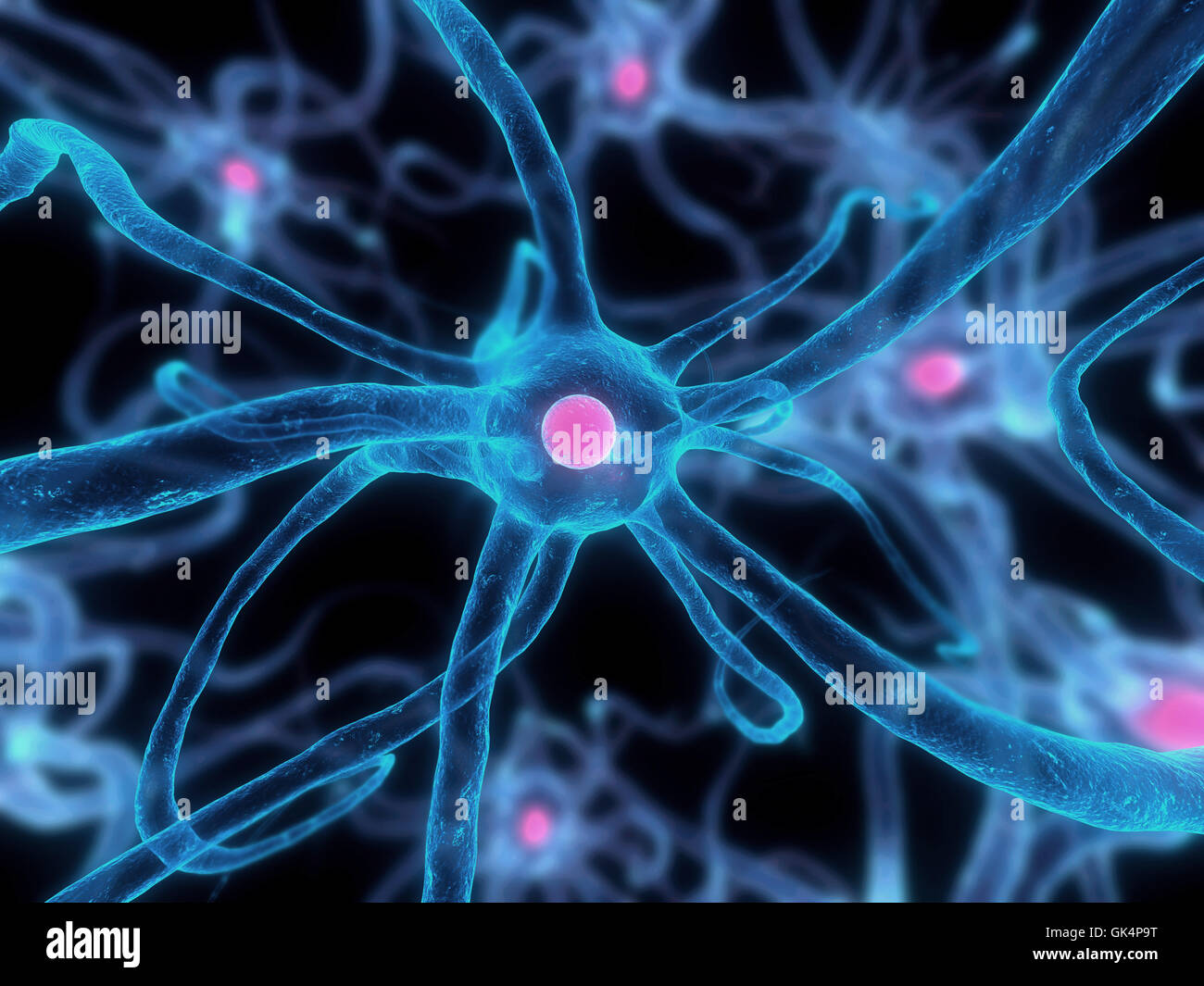 Biologie cellulaire humaine Banque de photographies et d’images à haute ...