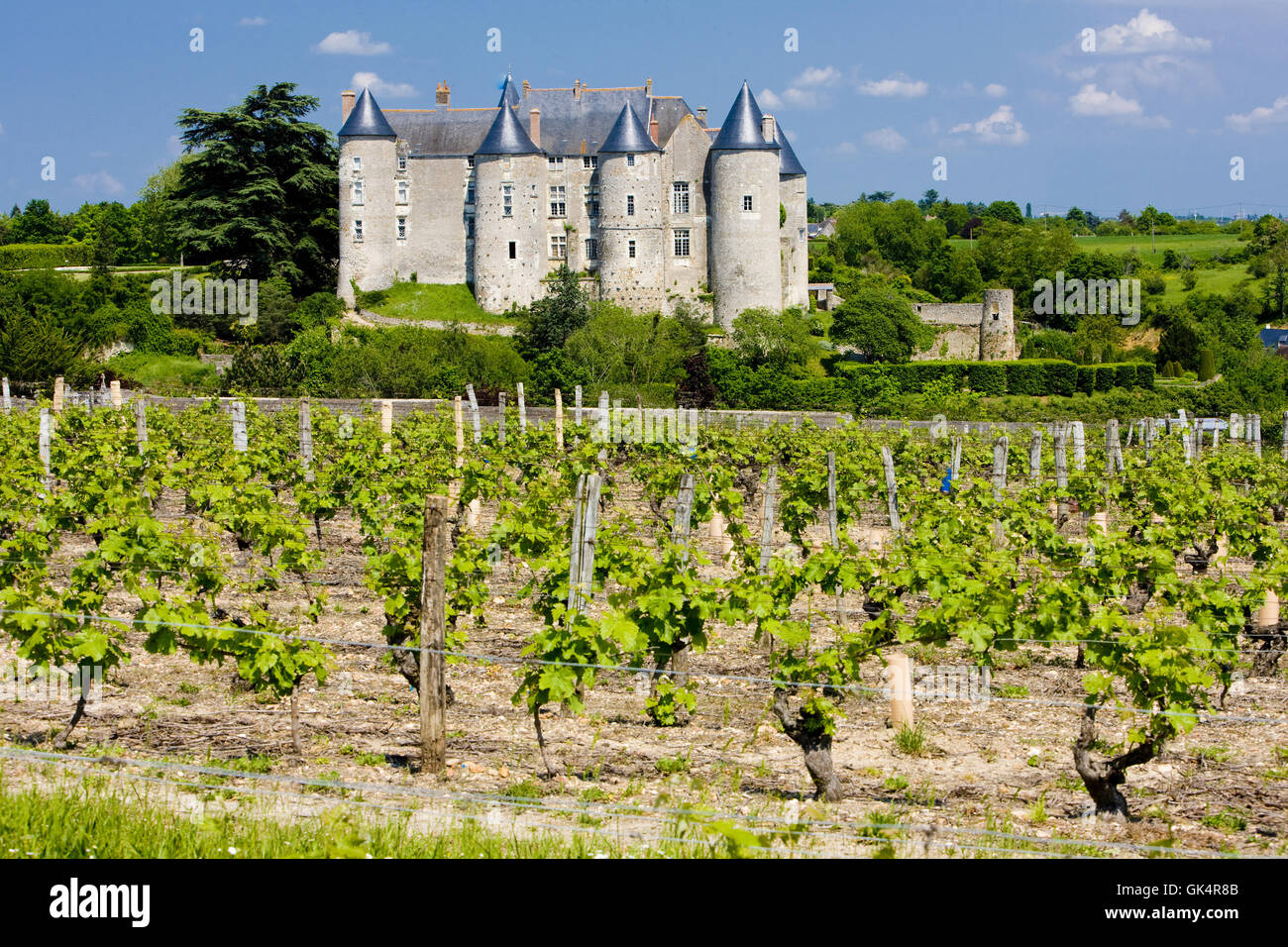 Vignoble du val de loire Banque de photographies et d’images à haute ...