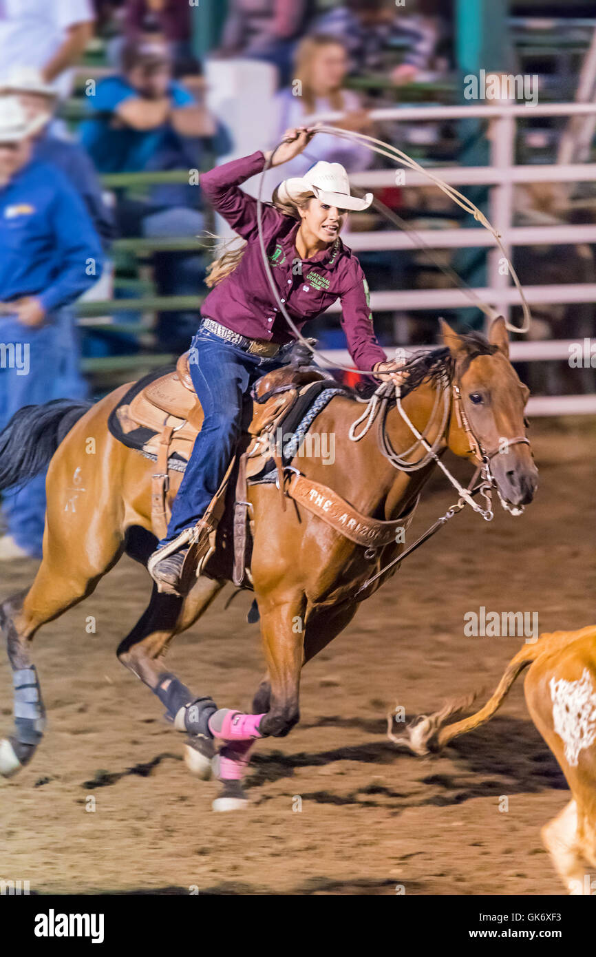 Rodéo cowgirl à cheval Banque de photographies et d’images à haute ...