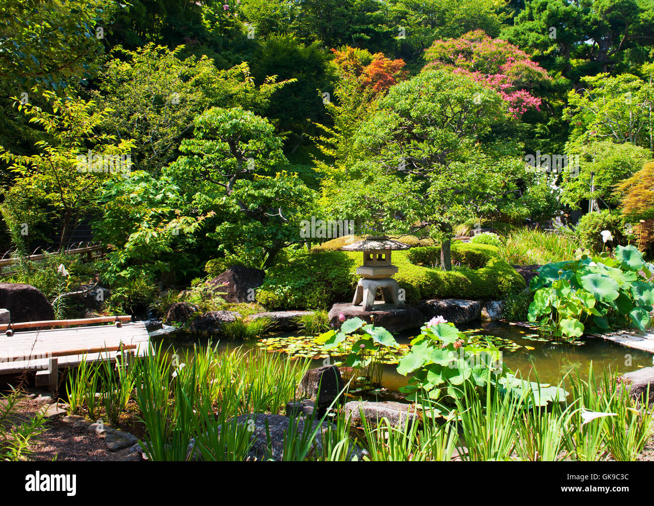 Jardin du parc japonais Banque de photographies et d’images à haute ...