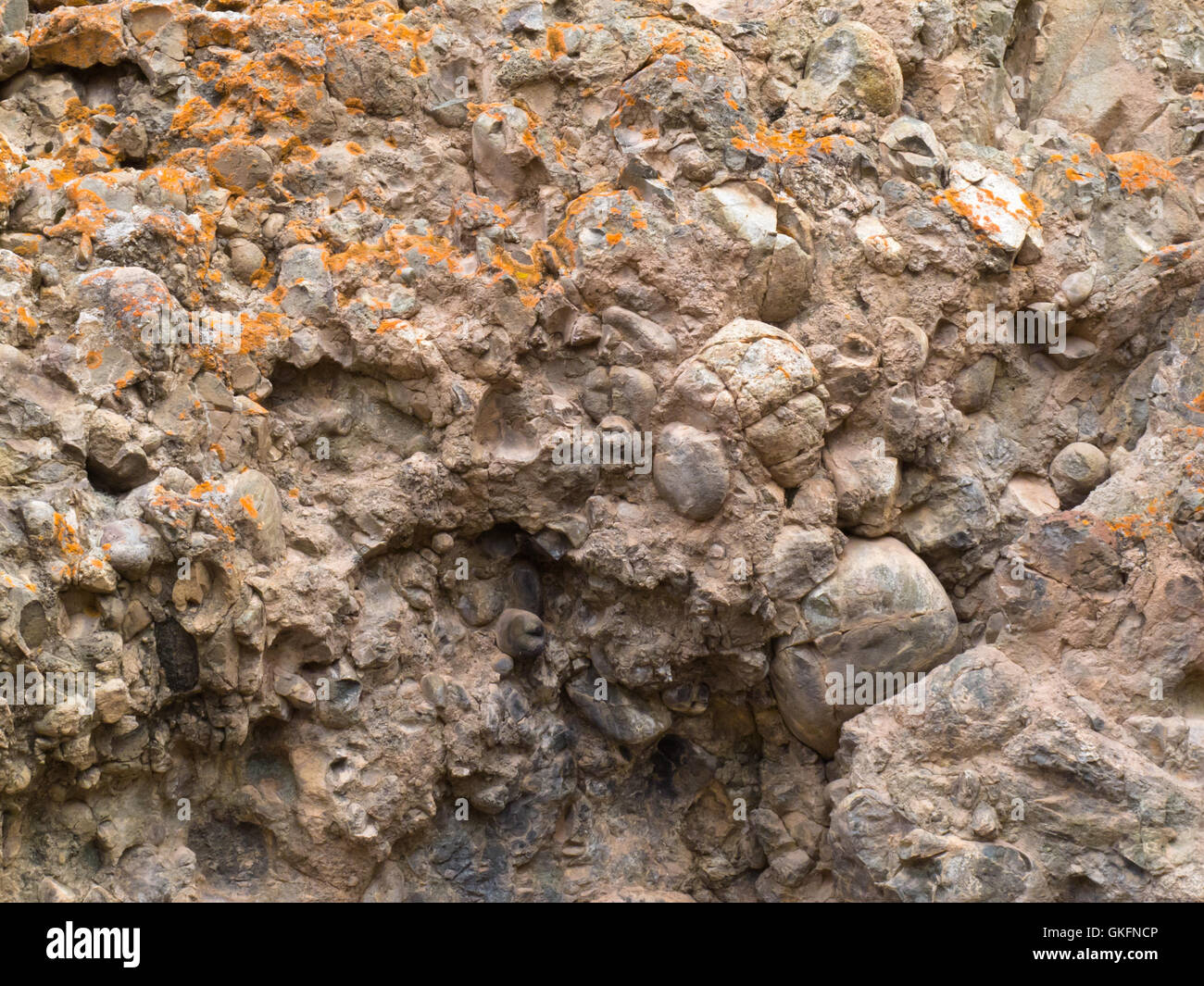 Sedimentary rock conglomerate Banque de photographies et d’images à ...