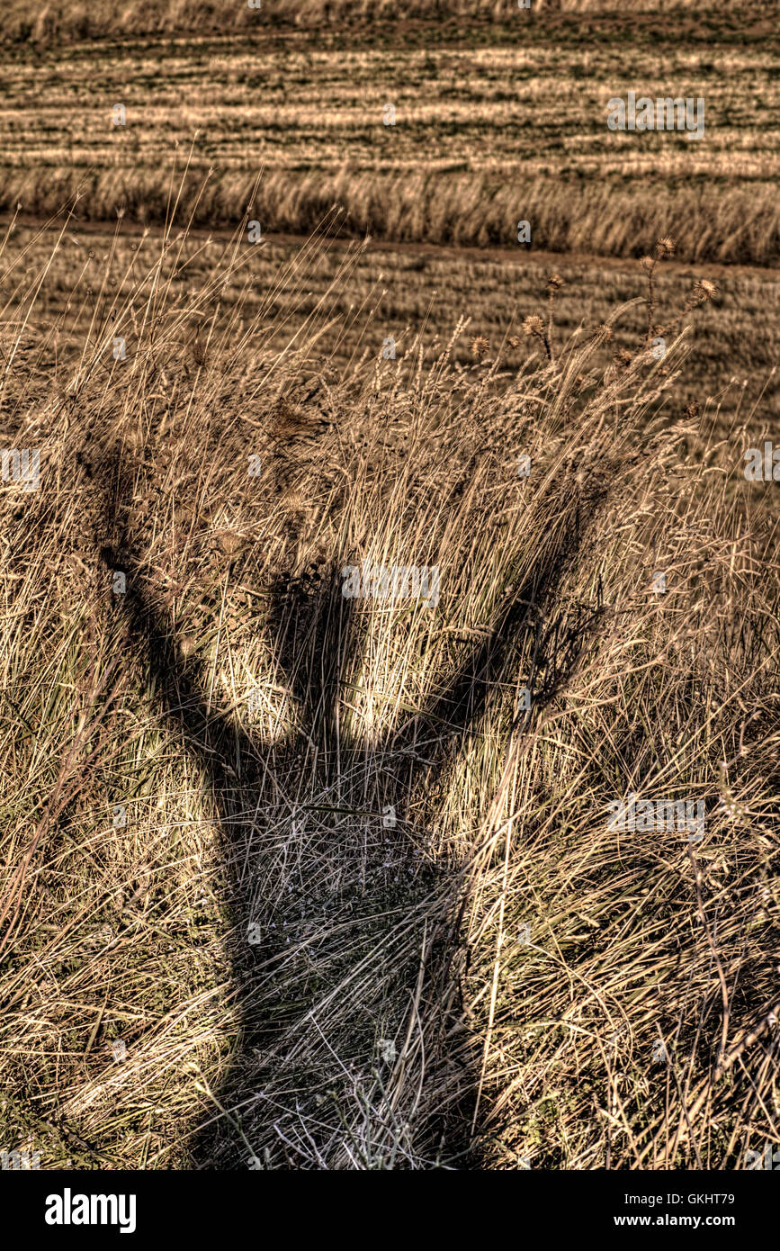 Homme libre Banque de photographies et d’images à haute résolution - Alamy