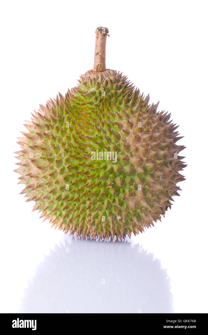 Fruits exotiques durian Banque de photographies et d’images à haute ...