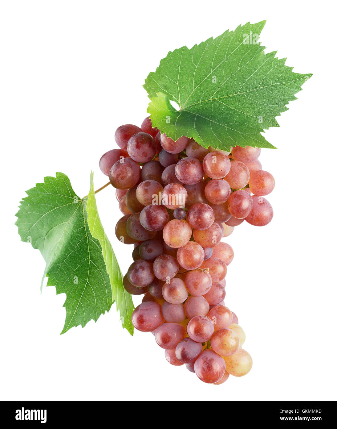 Grappe de raisin rose Banque de photographies et d’images à haute ...