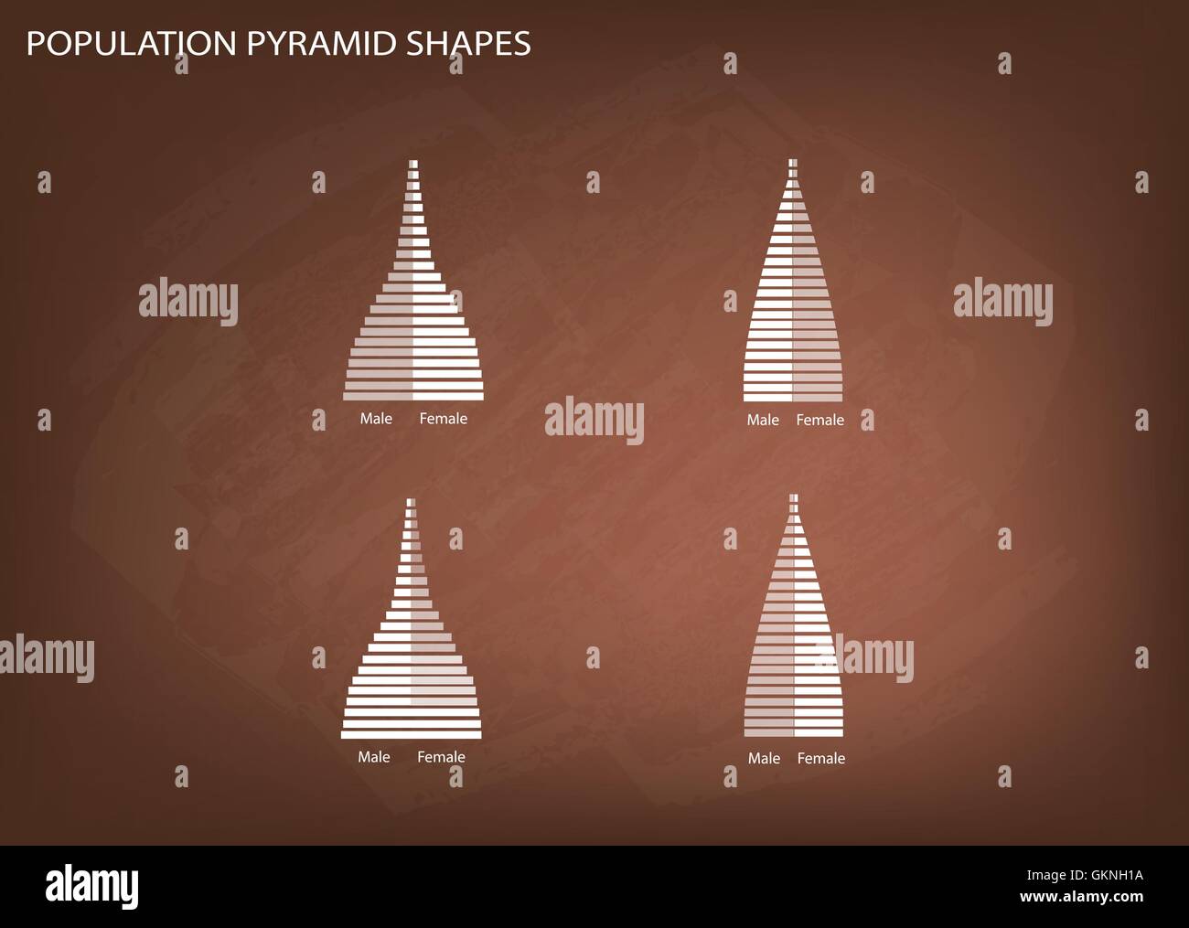 Population et démographie, Illustration de 4 types de pyramides des ...