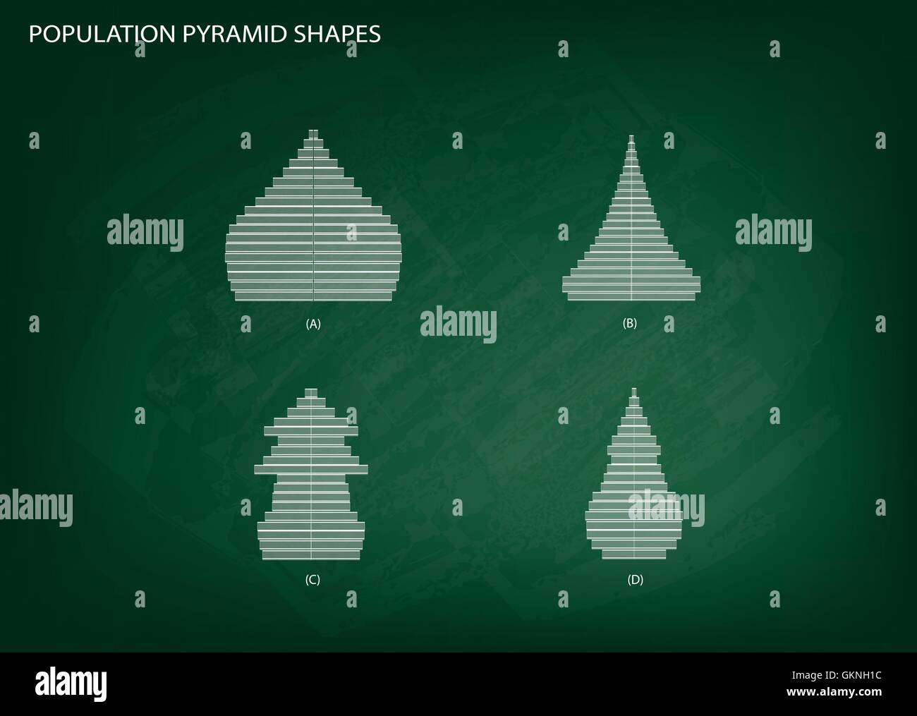 Population et démographie, Illustration de 4 types de pyramides des ...