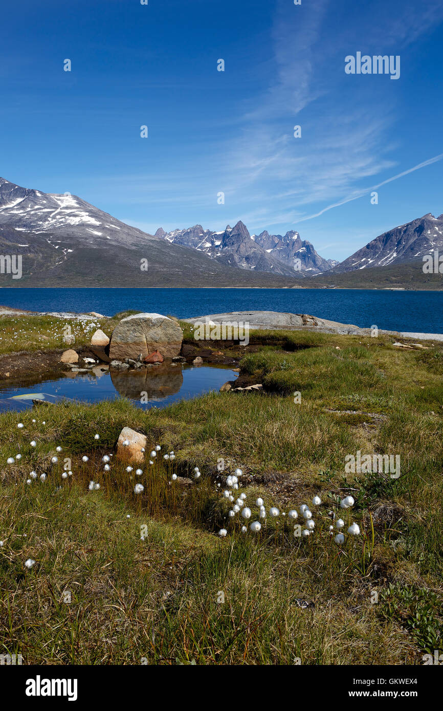Tasiusaq, au groenland Banque de photographies et d’images à haute ...