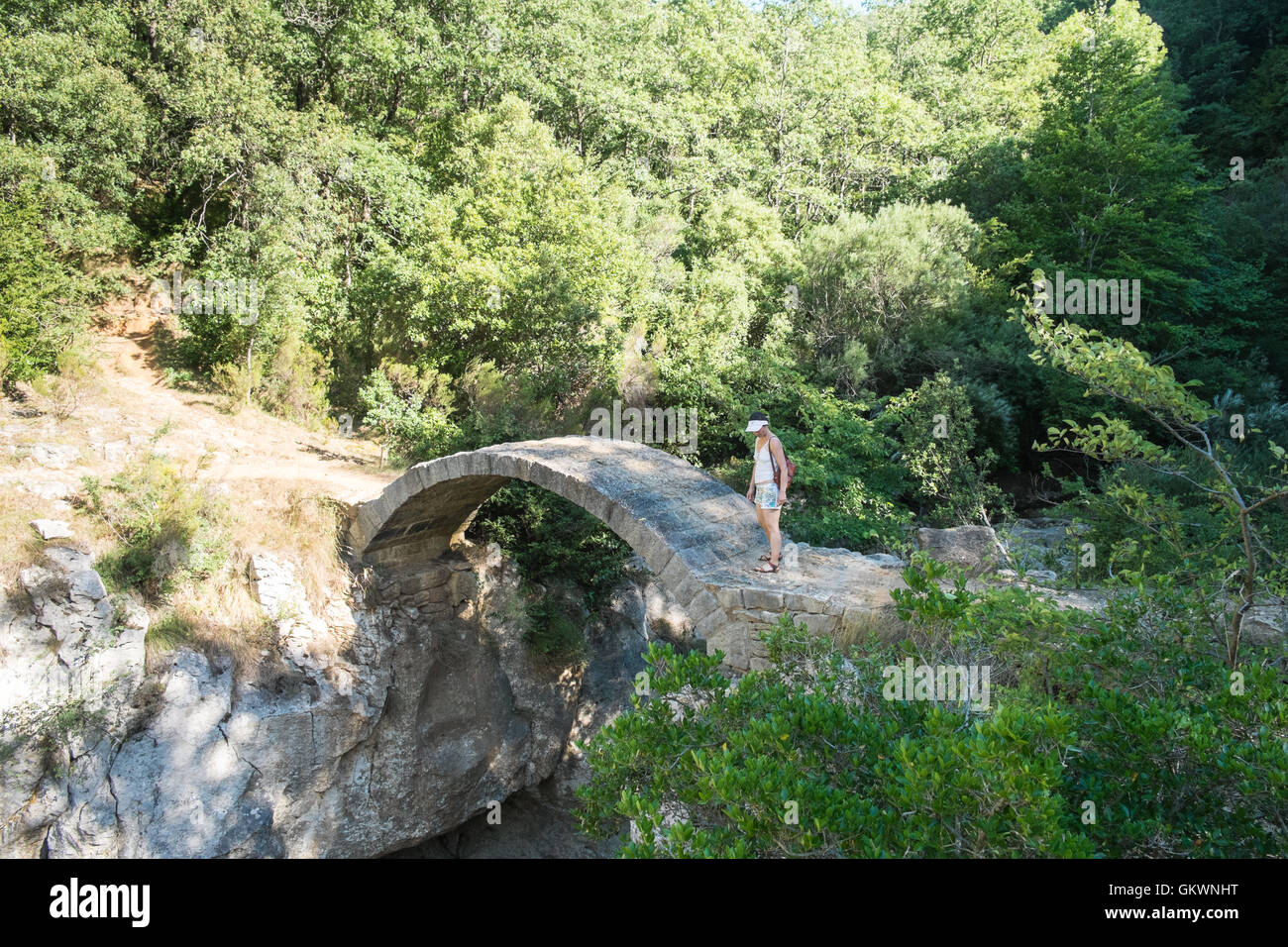 Pont Romain arqué en forme de conception campagne près de Bugarach ...