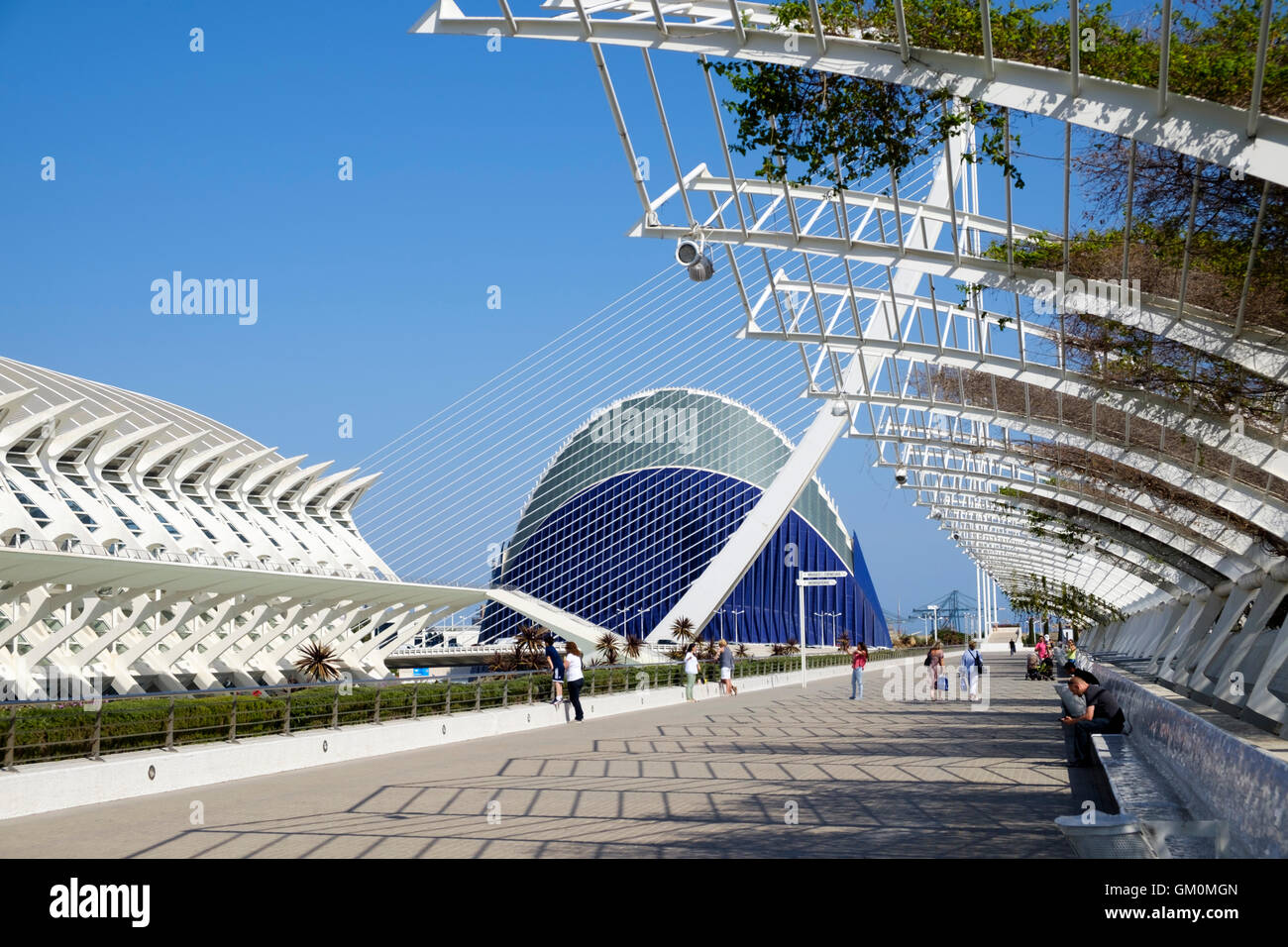 Le parc scientifique à Valence, Espagne Photo Stock - Alamy