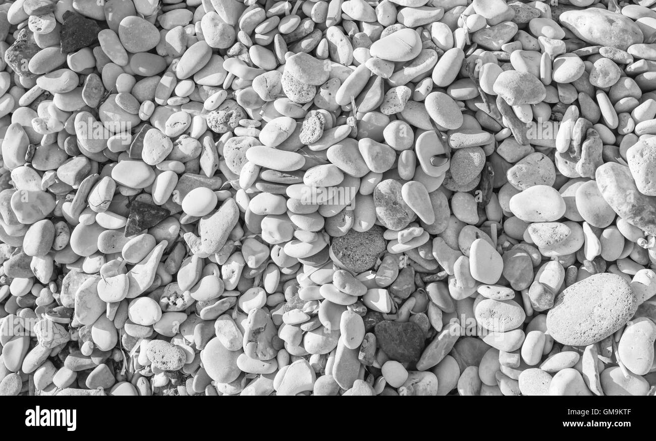 Caillou blanc sur un littoral, texture de fond closeup Photo Stock - Alamy