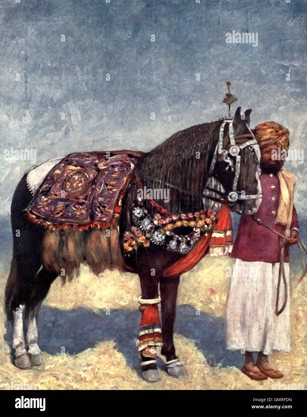 Inde cheval indien Banque de photographies et d’images à haute ...