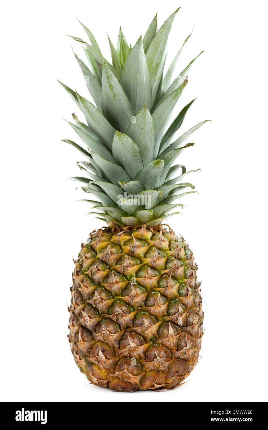 Ananas personne n'a de fruits nourriture tropicale Banque de ...