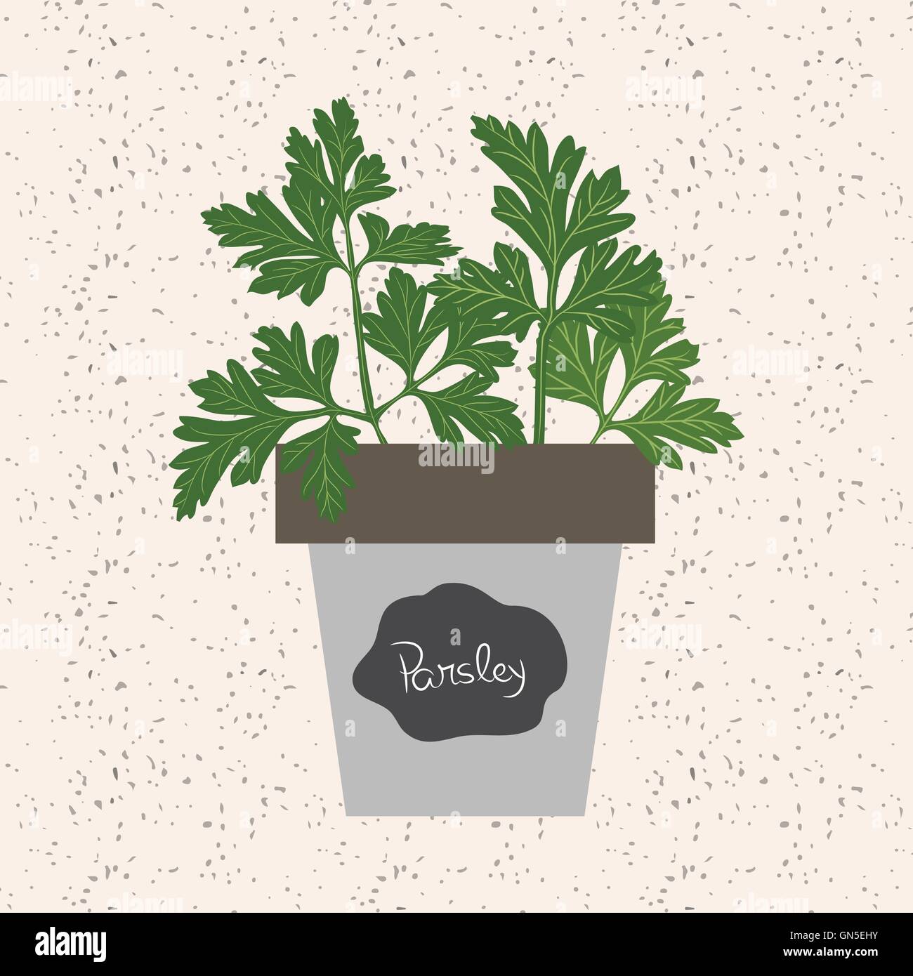 Persil dans une casserole Banque d'images vectorielles - Alamy