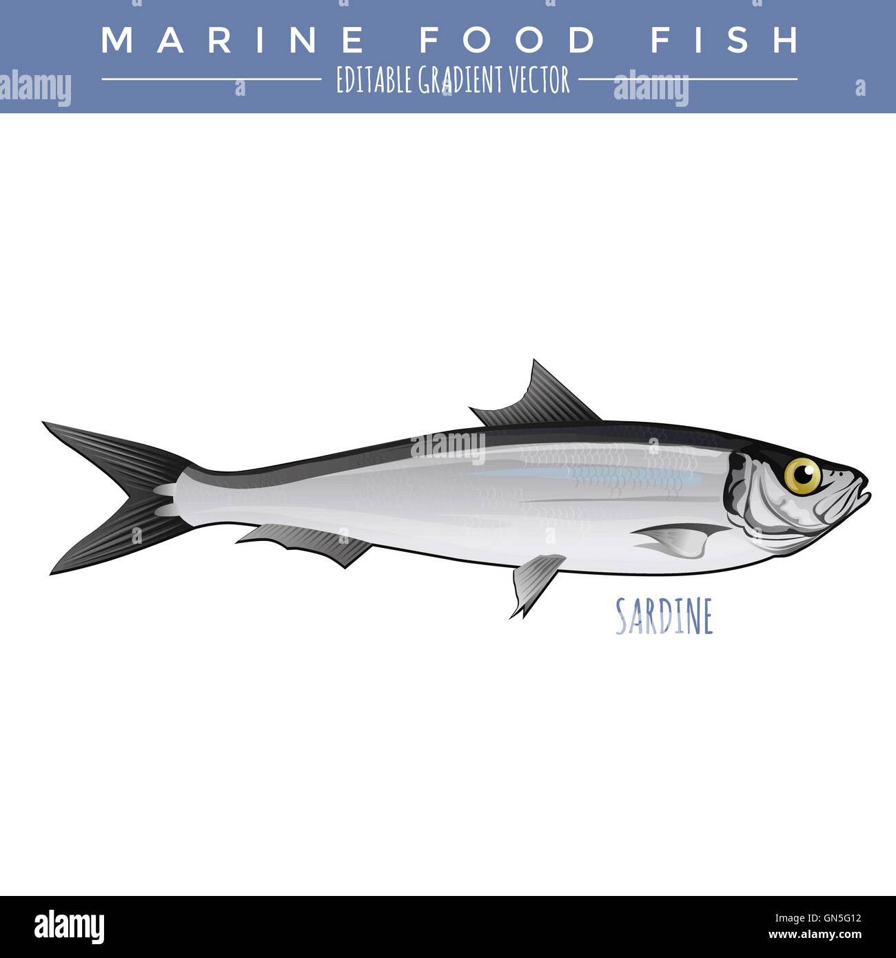 Dessin de la faune Banque d'images vectorielles - Alamy