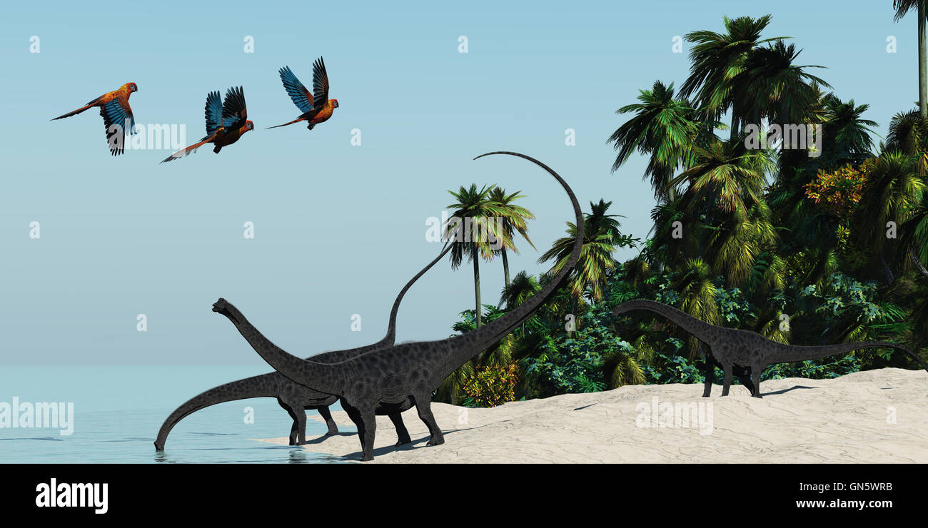 Diplodocus dinosaur gigantic herbivorous Banque de photographies et d ...