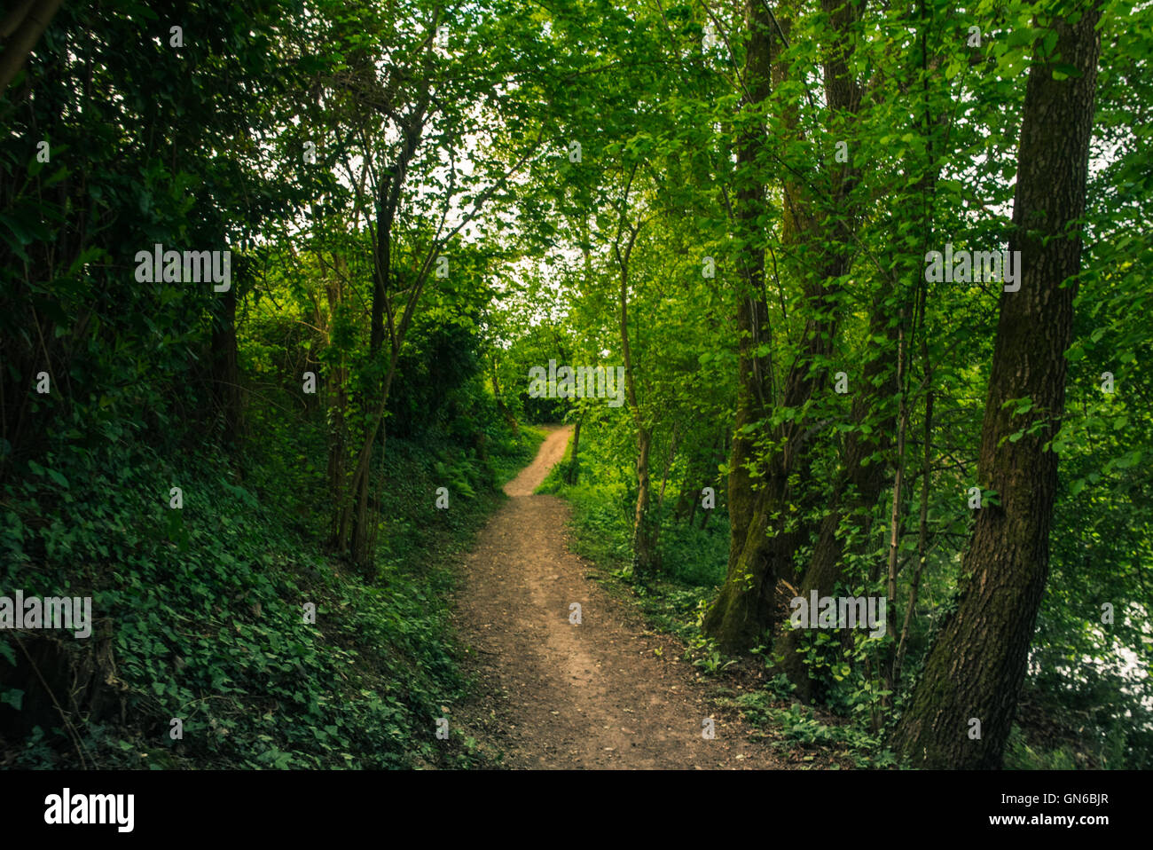 Chemin sinueux dans le jardin Banque de photographies et d’images à ...