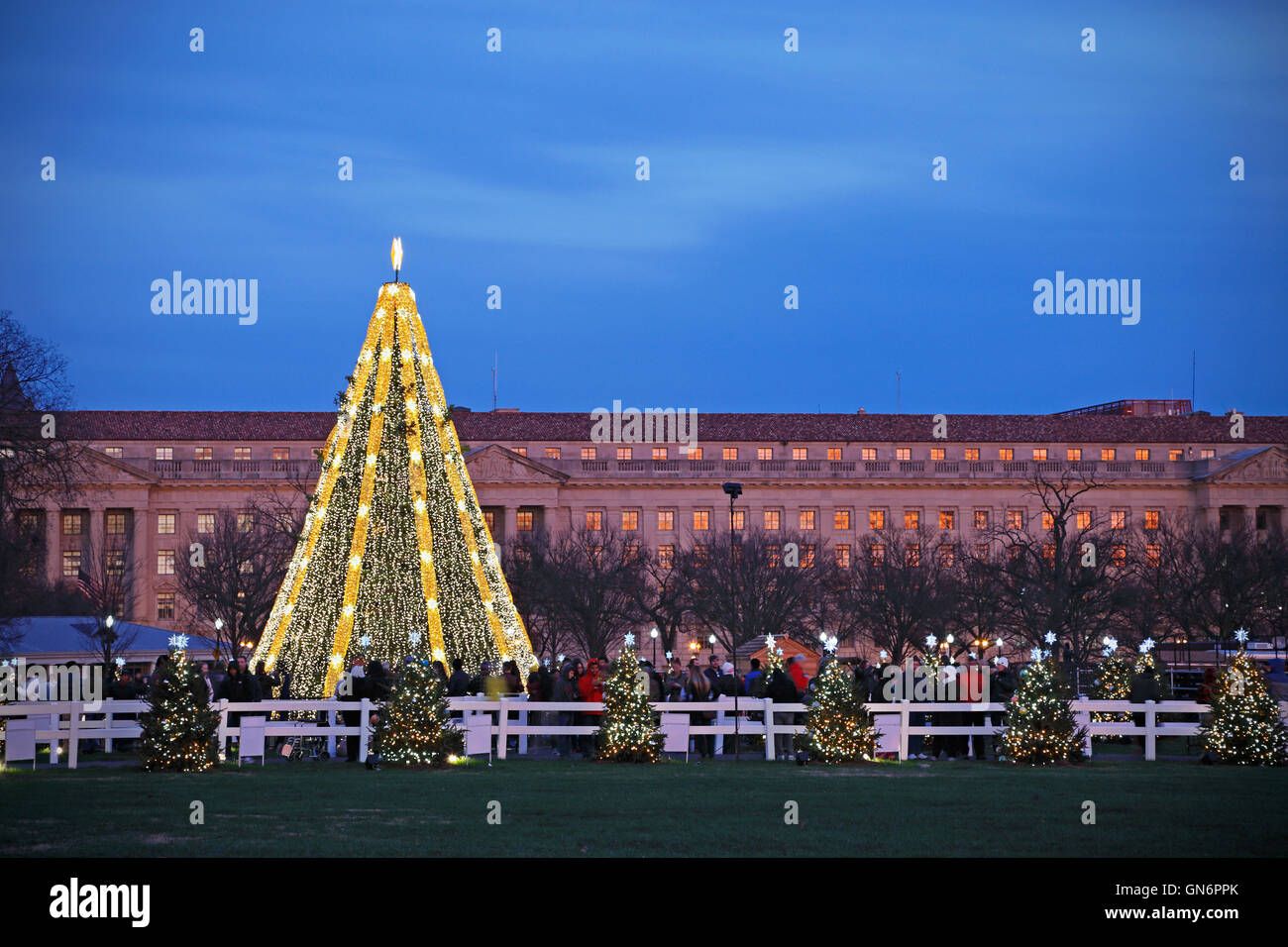National christmas tree Banque de photographies et d’images à haute ...