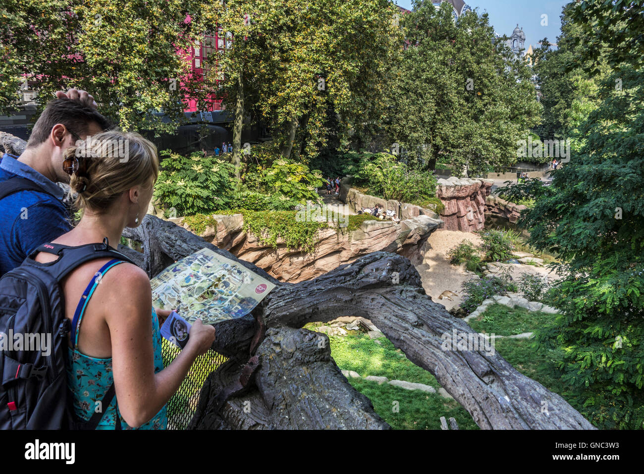 Les visiteurs avec la carte la recherche sur l'enceinte lion au Zoo d ...
