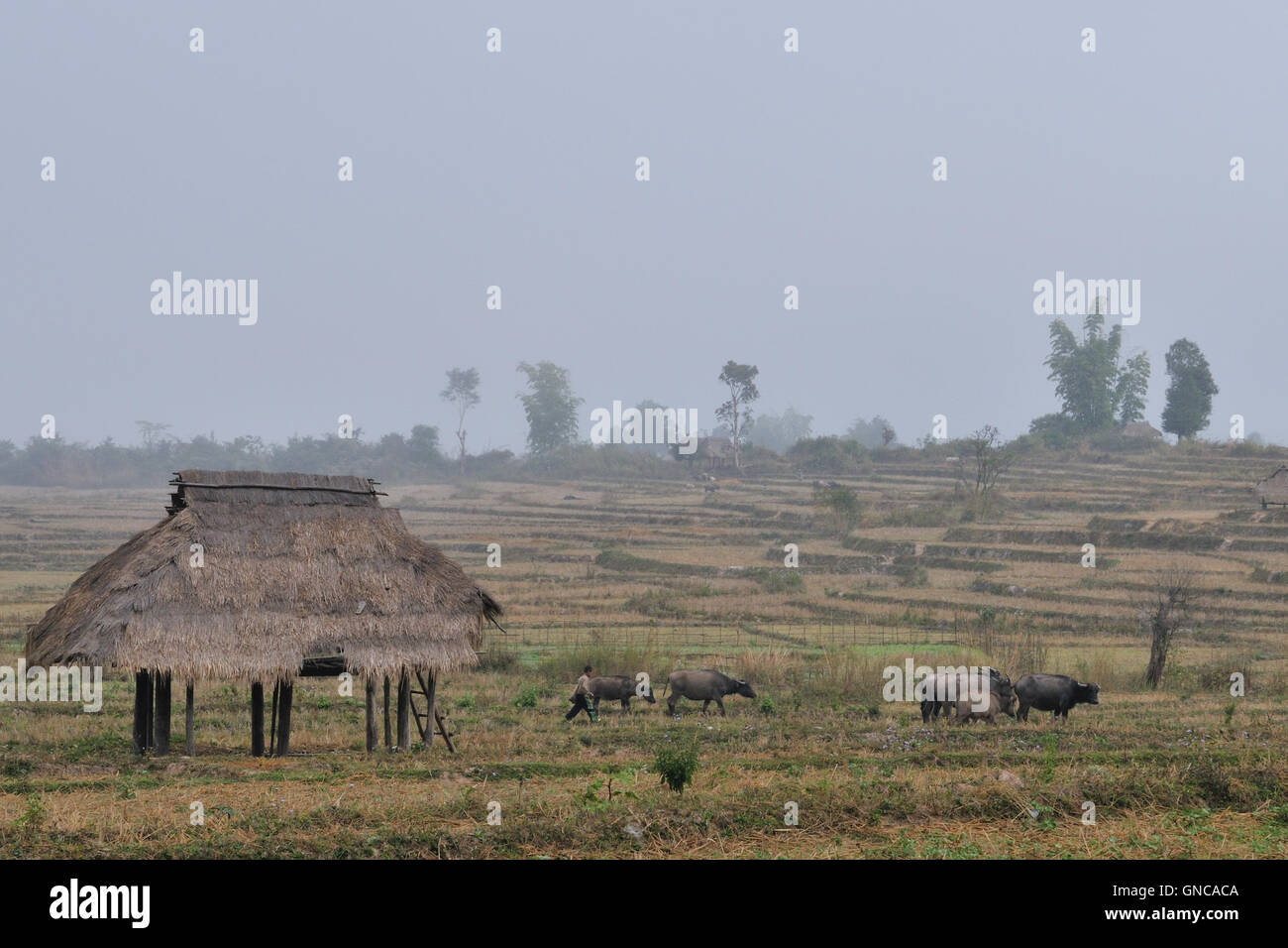 Akha village Banque de photographies et d’images à haute résolution - Alamy