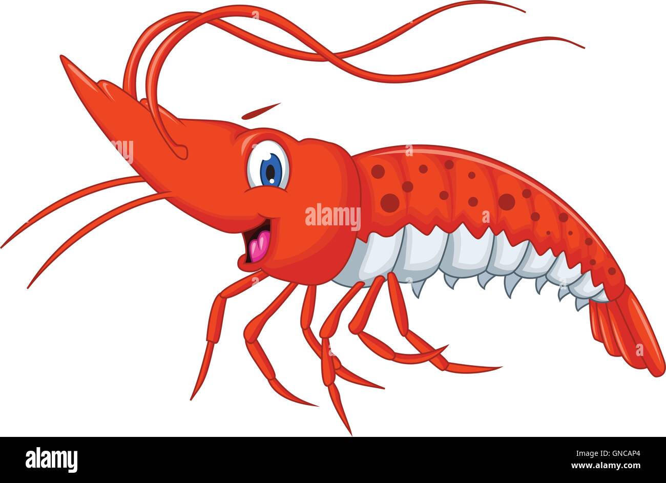 Clipart De Crevette