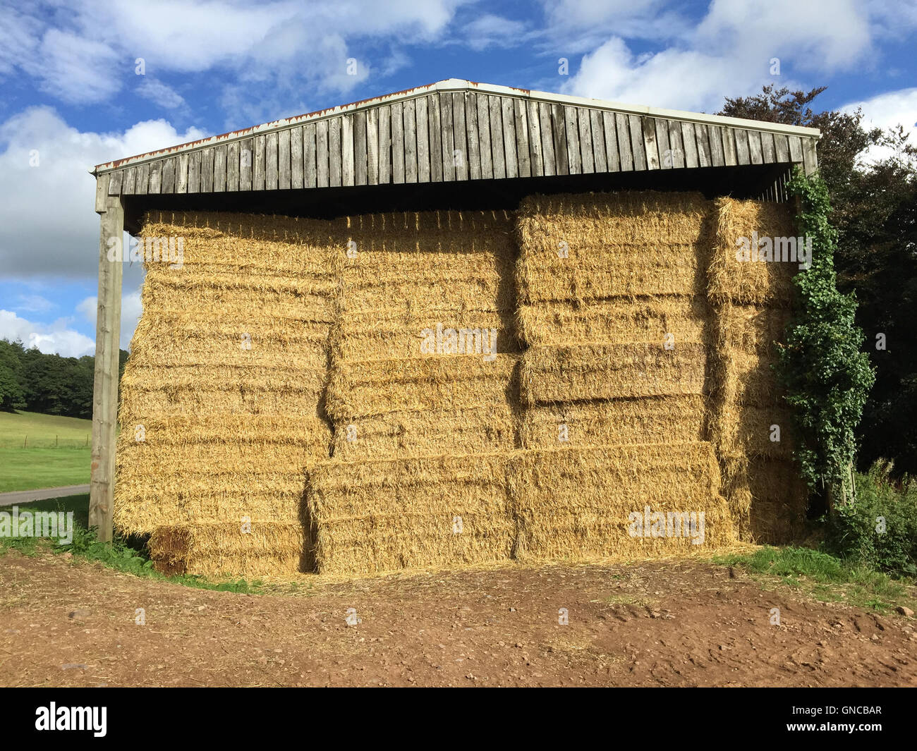 Le foin Banque de photographies et d’images à haute résolution - Alamy
