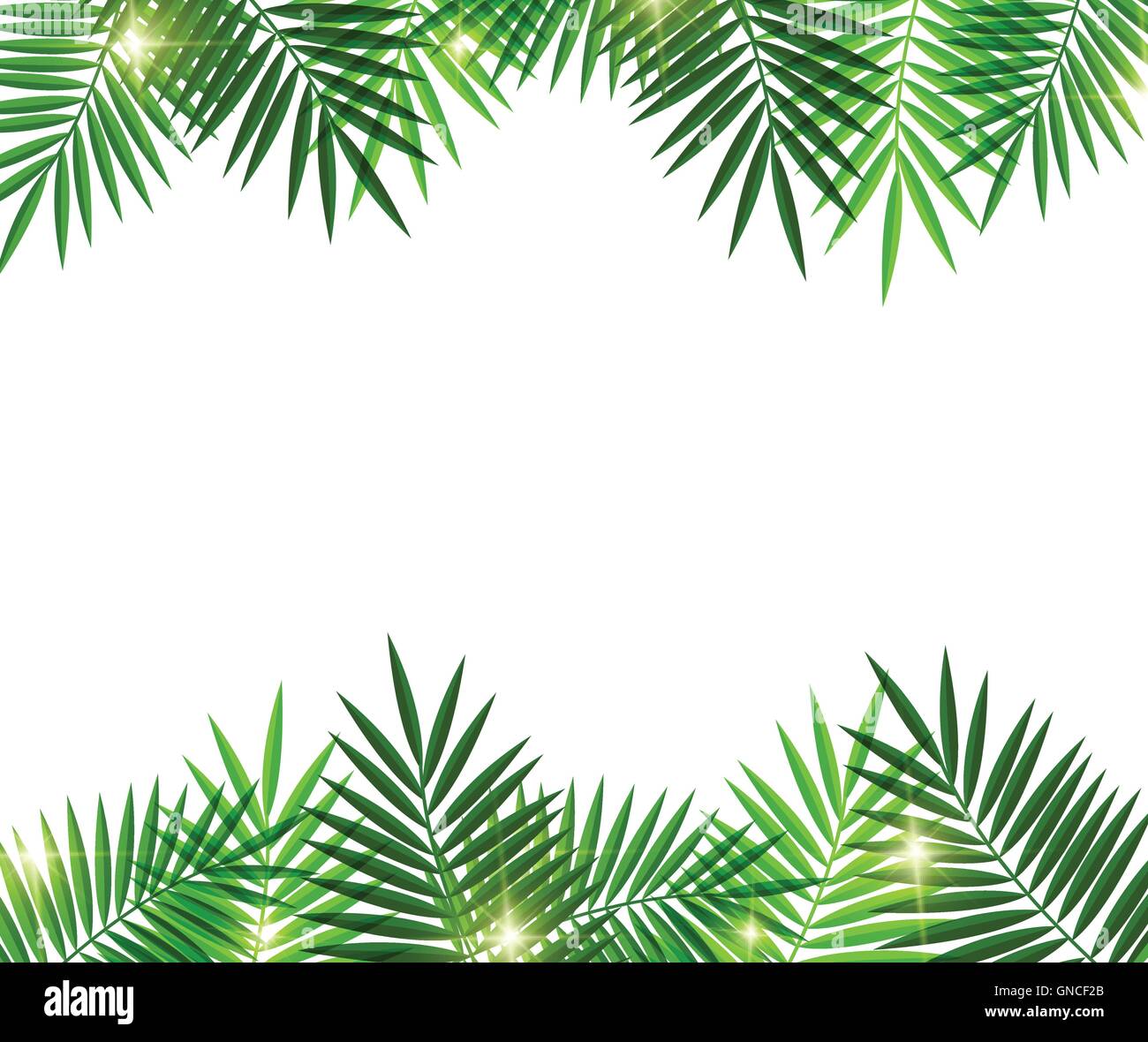 Feuilles de palmier naturelles Banque d'images vectorielles - Alamy