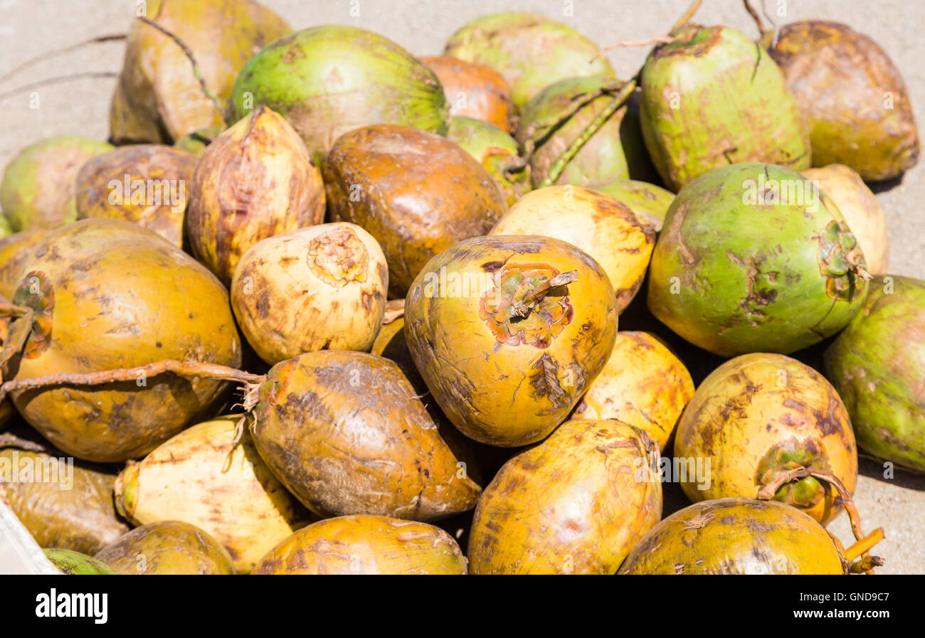 Green and yellow coconuts Banque de photographies et d’images à haute ...