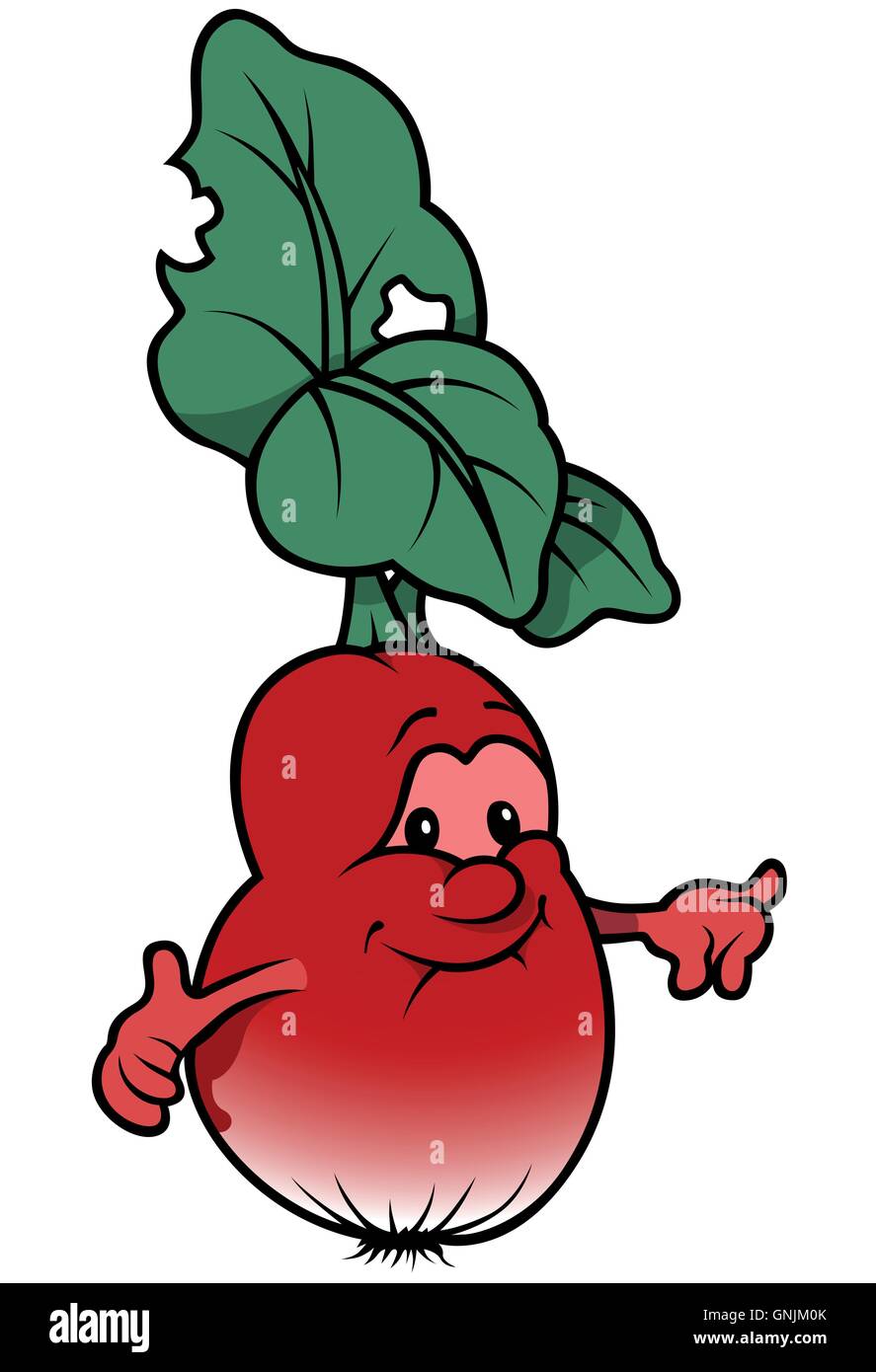 Radish drawing Banque de photographies et d’images à haute résolution ...