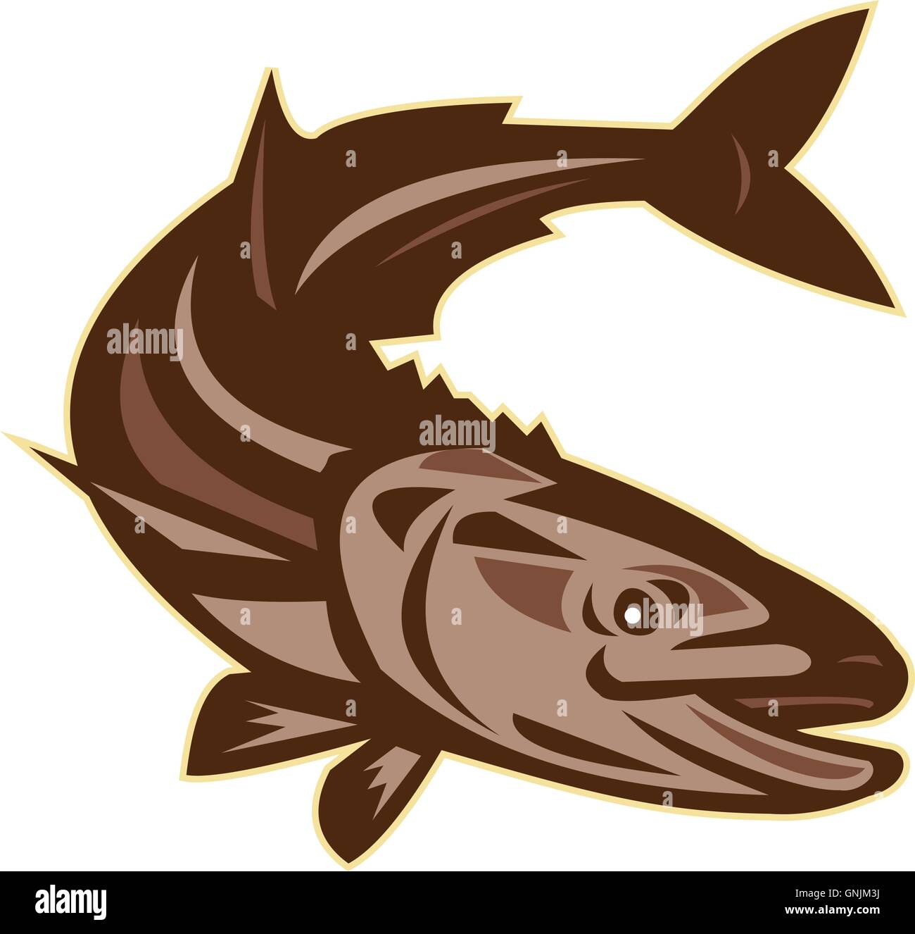 Poissons perciformes marins Banque d'images vectorielles - Alamy