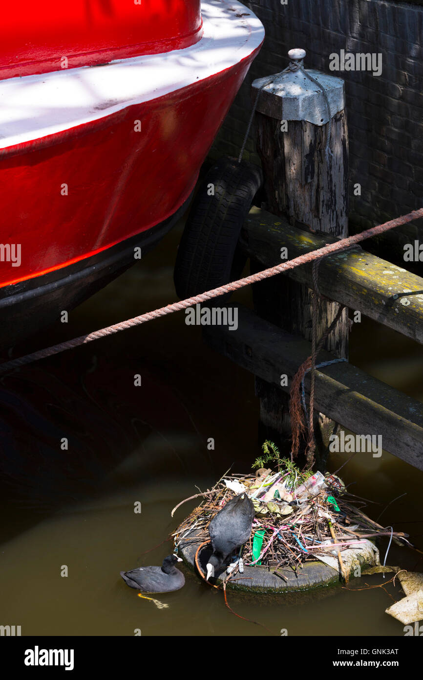 La faune et la pollution Banque de photographies et d’images à haute ...