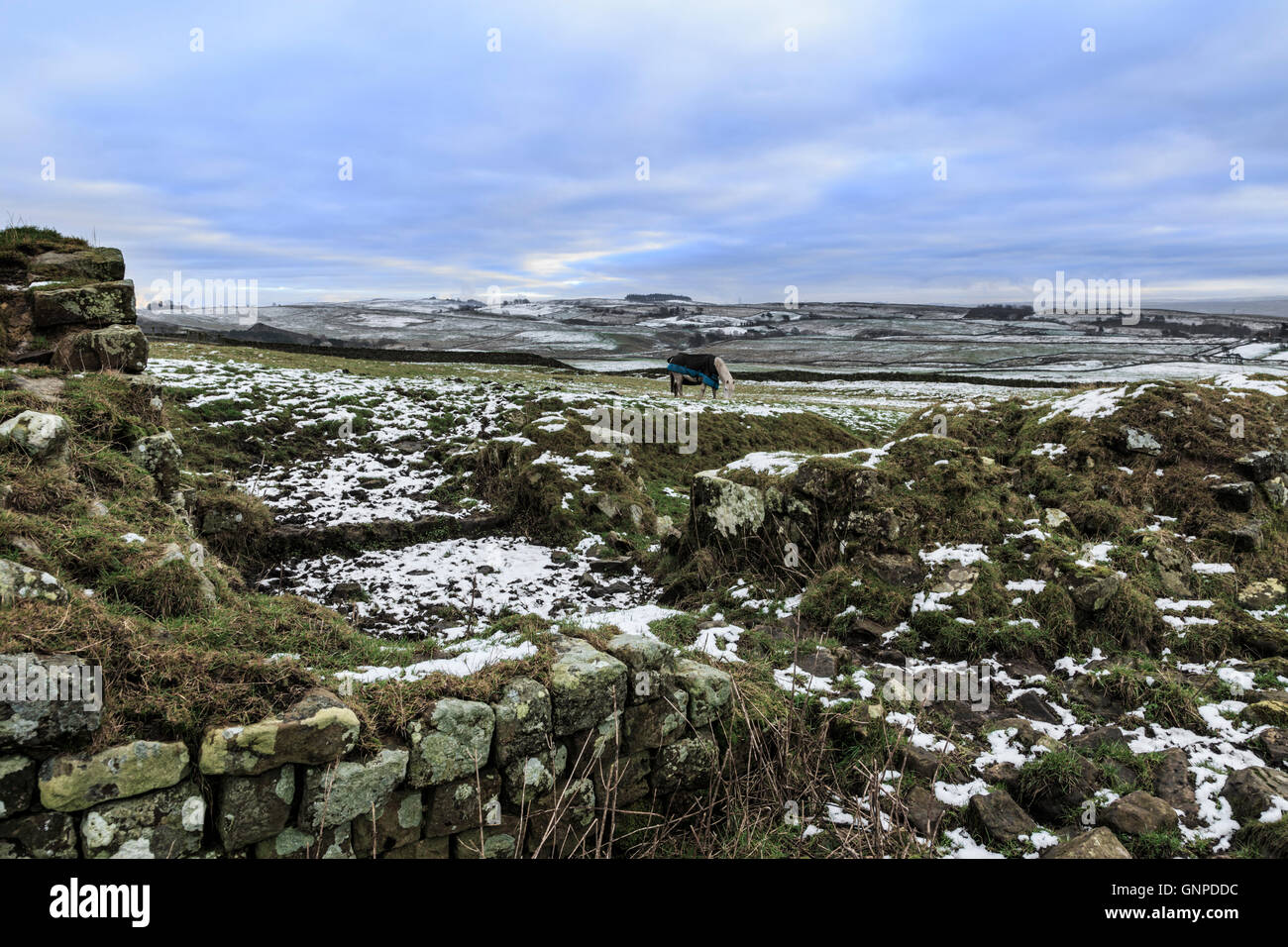 Aesica (grand fort romain de Chesters), mur d'Hadrien - une vue d'hiver ...