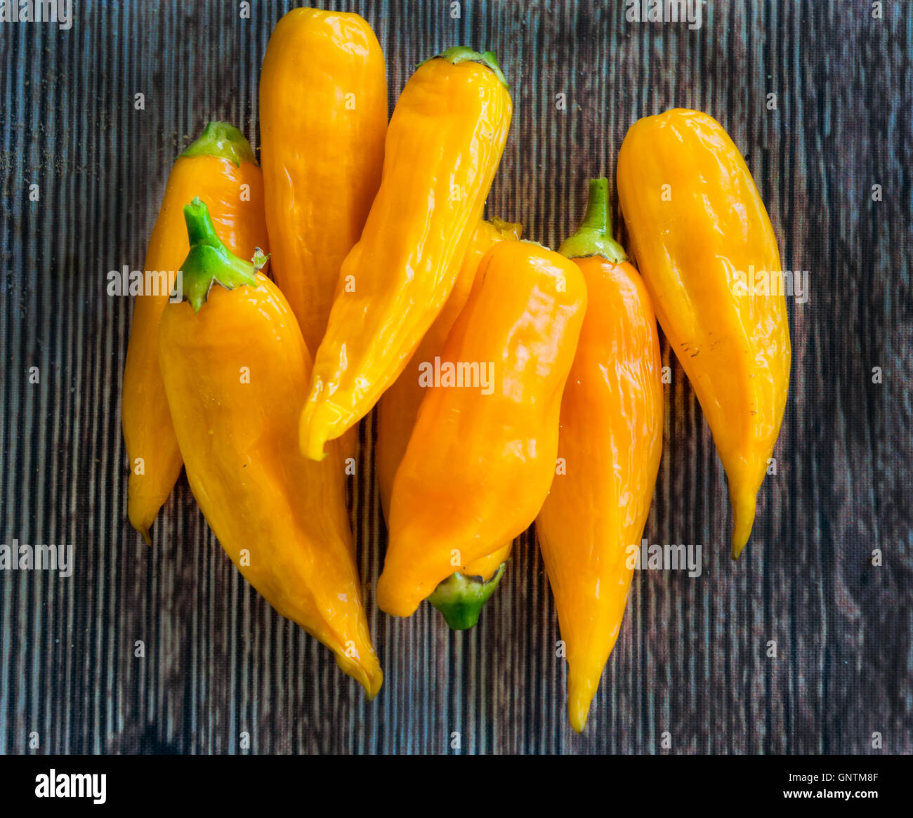 Plante piquante Banque de photographies et d’images à haute résolution ...