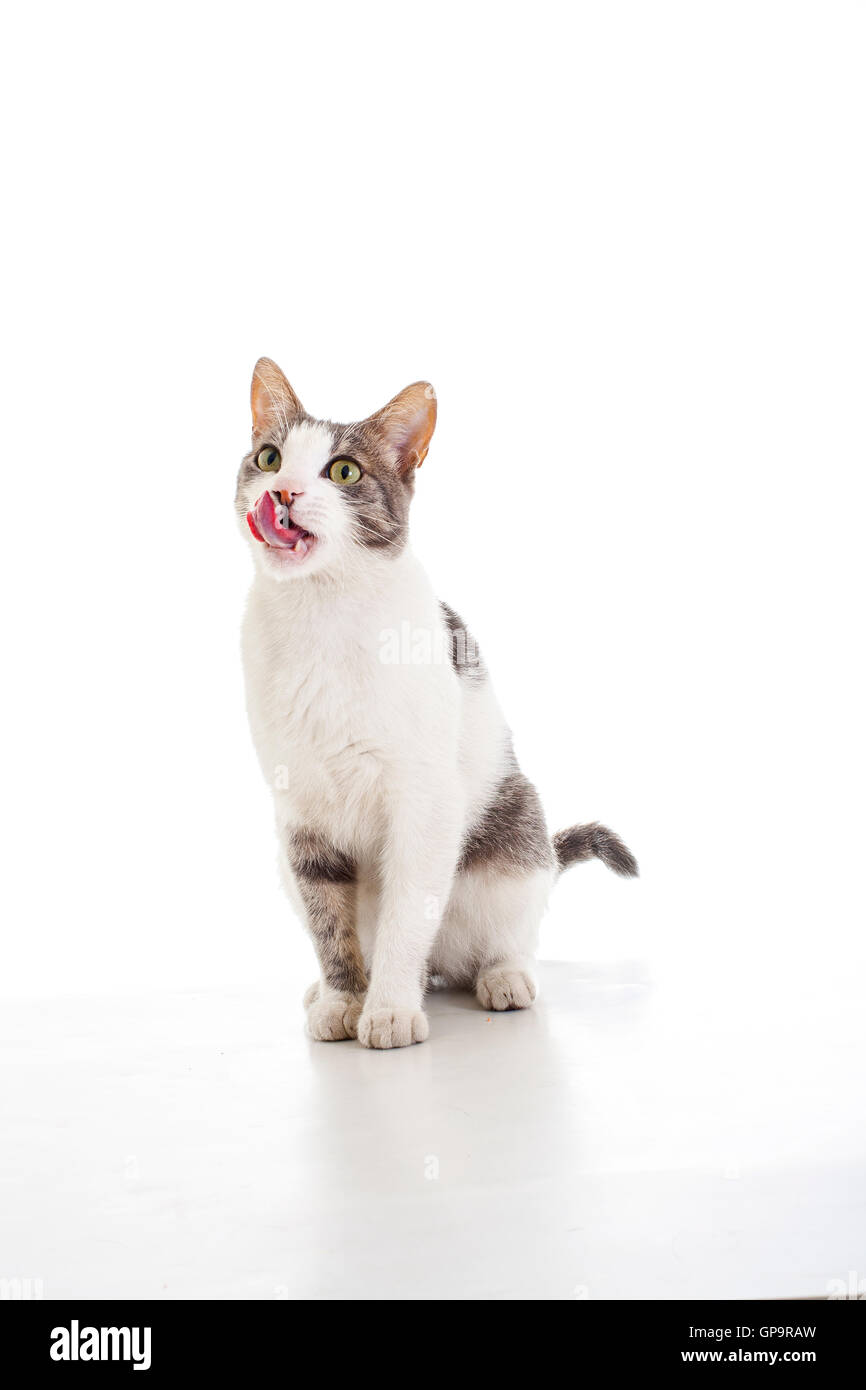 Lécher la langue Banque de photographies et d’images à haute résolution ...