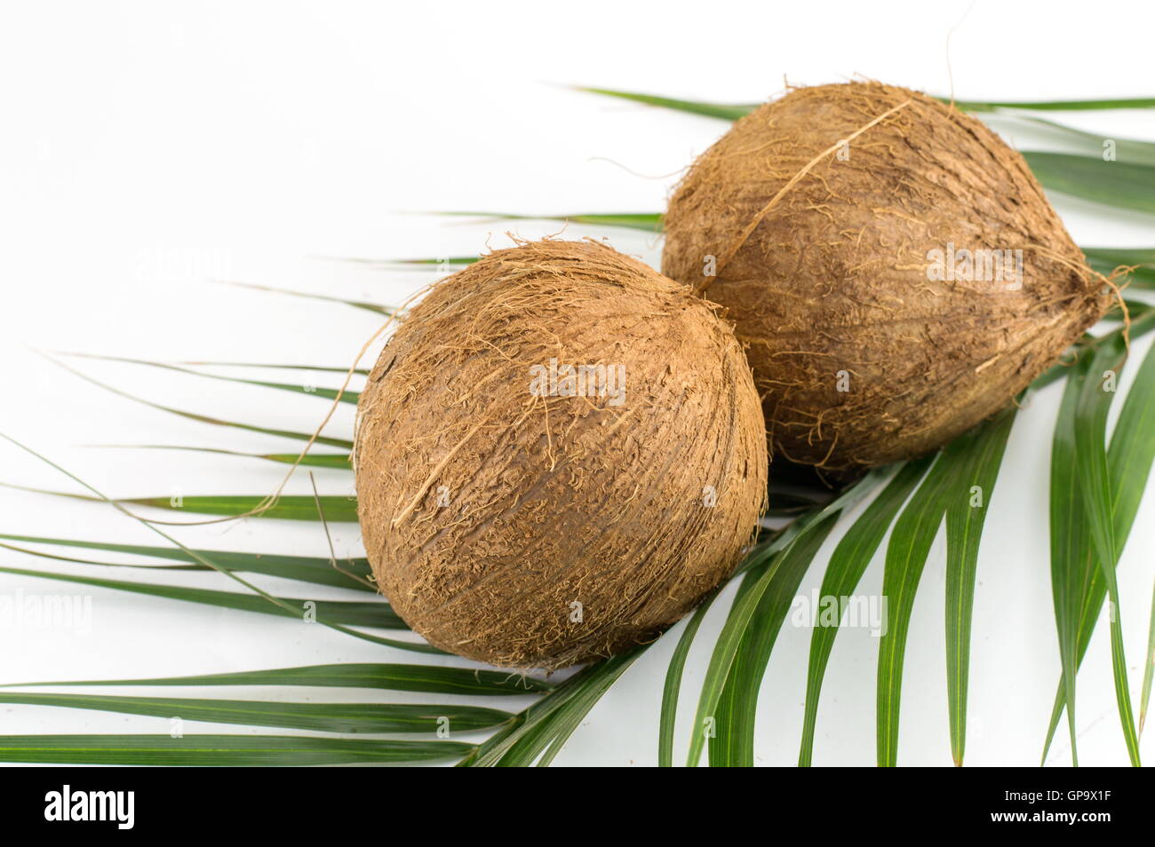Ensemble de coco sur des feuilles de cocotier sur fond blanc Photo ...