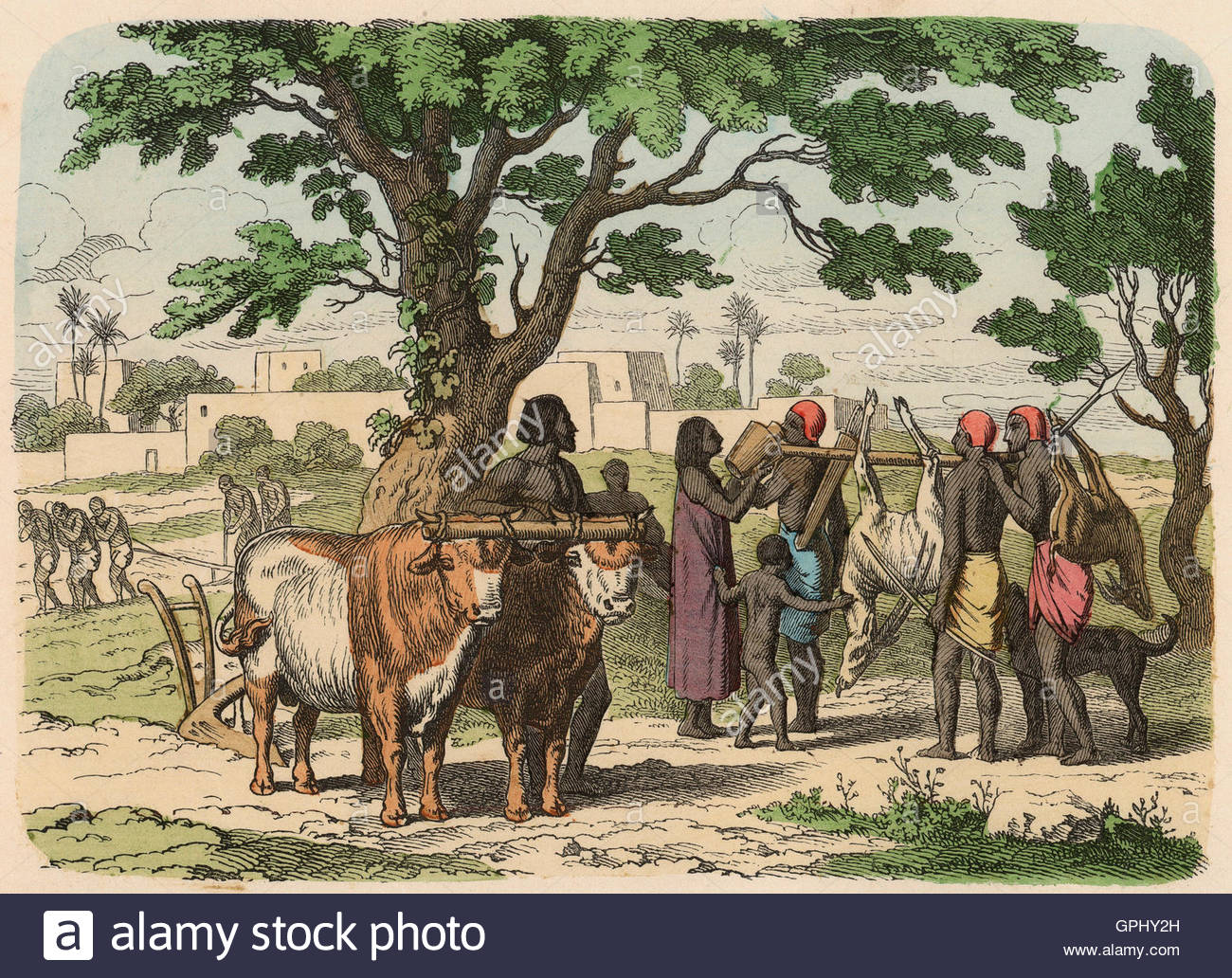 Ancient Egypt Hunting Photos & Ancient Egypt Hunting Images - Alamy