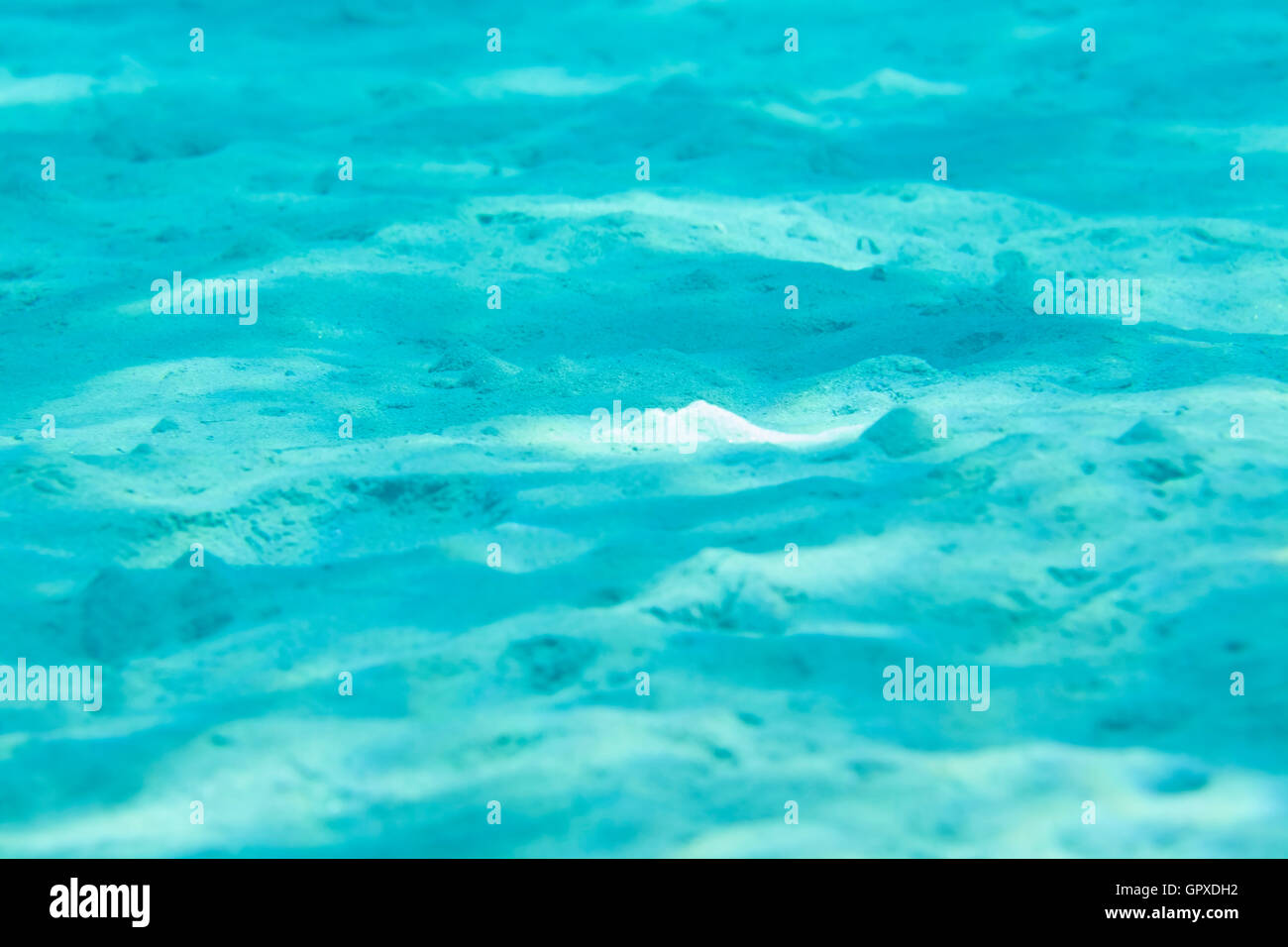 La vie aquatique Banque de photographies et d’images à haute résolution ...