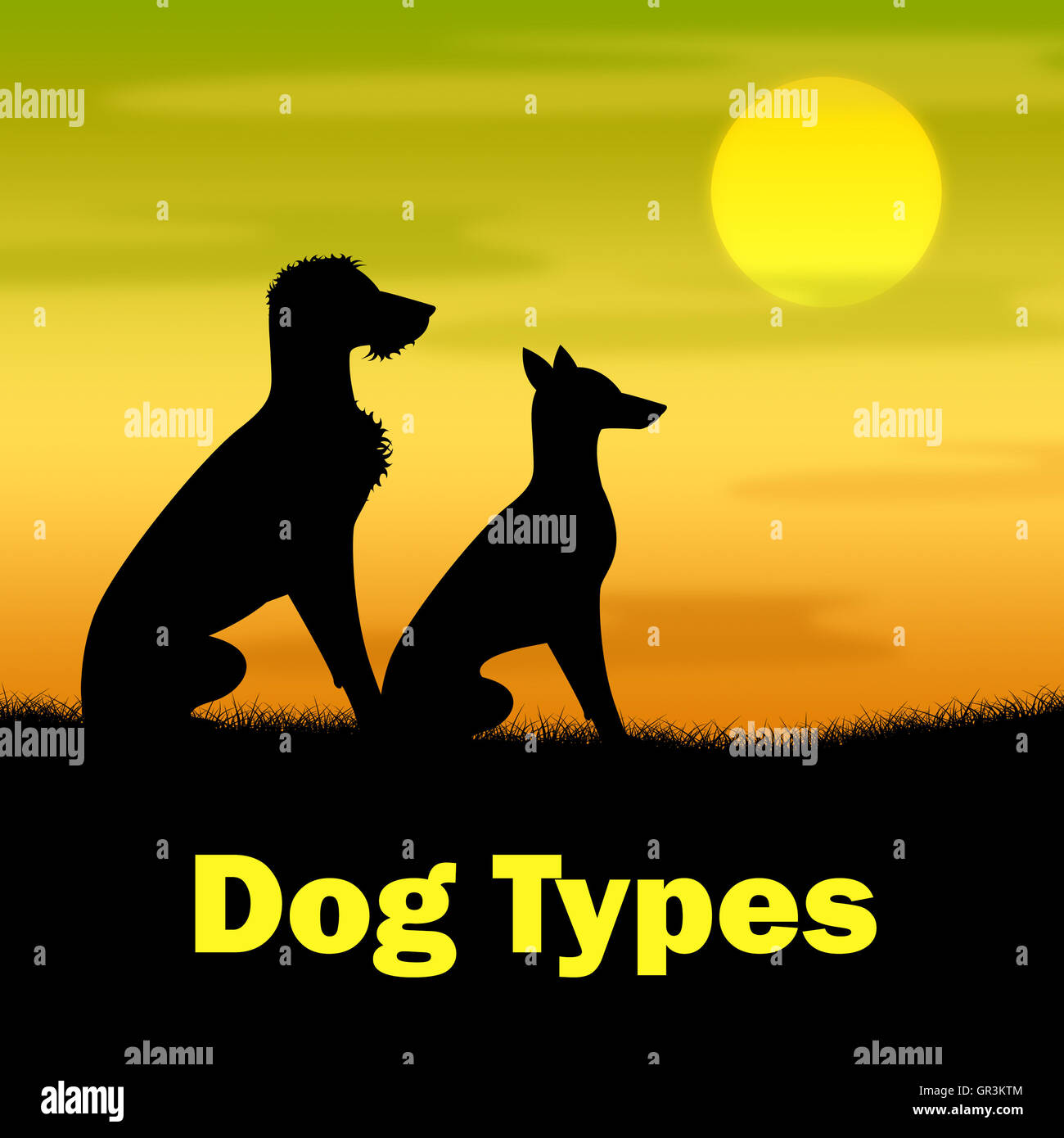 Types de chien Banque de photographies et d’images à haute résolution ...