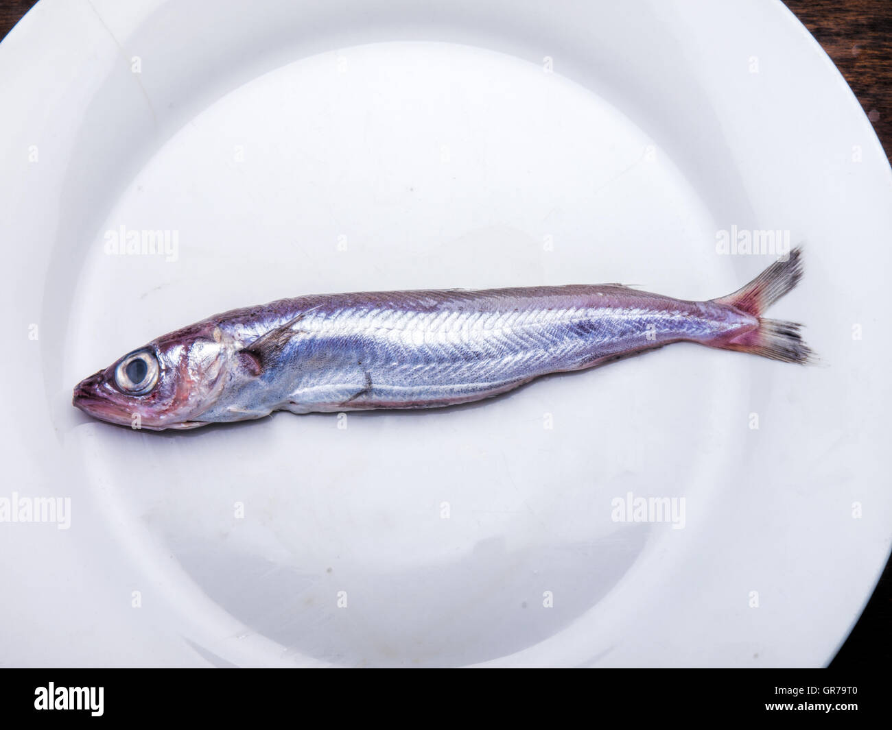 Merlan sur une assiette Banque de photographies et d’images à haute ...