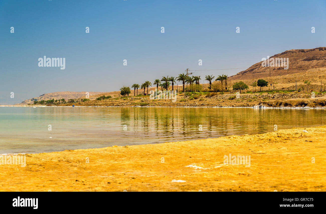 Dead sea beach Banque de photographies et d’images à haute résolution ...