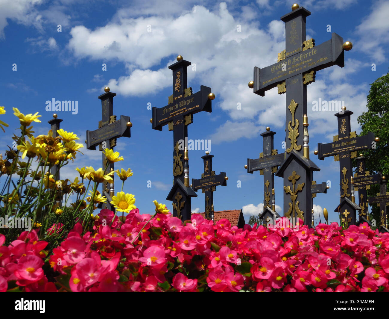 Dinosaur graveyard Banque de photographies et d’images à haute ...