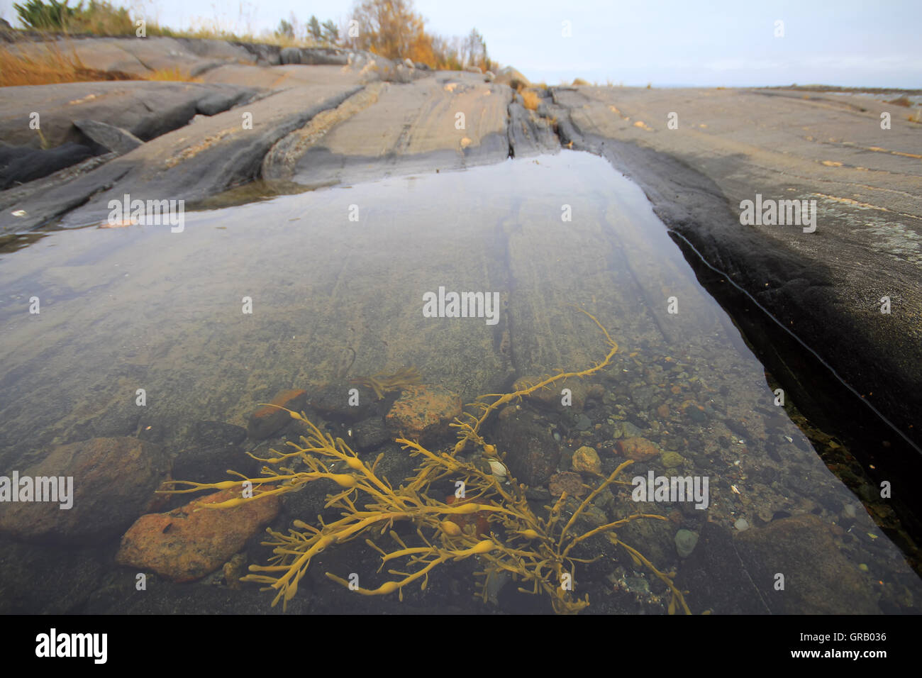 Baignoire intertidales constituées de reflux de la mer dans l'eau sont ...