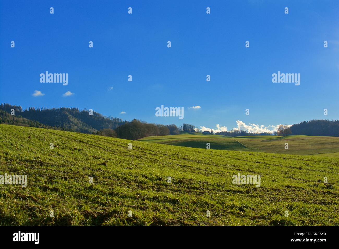 Paysage de colline Banque de photographies et d’images à haute ...