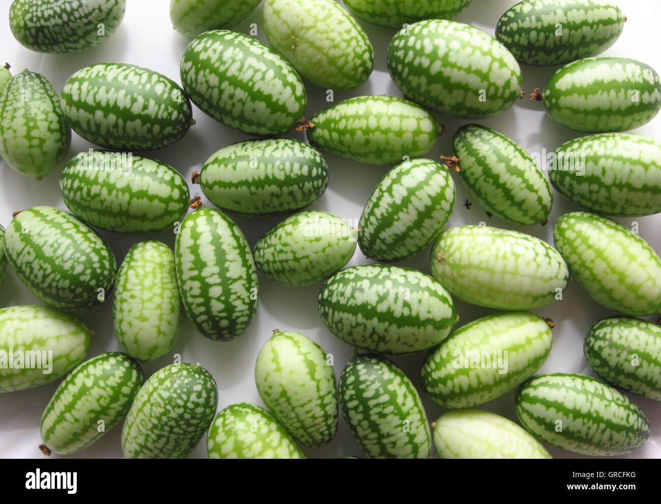 Concombre aigre mexicain Banque de photographies et d’images à haute ...