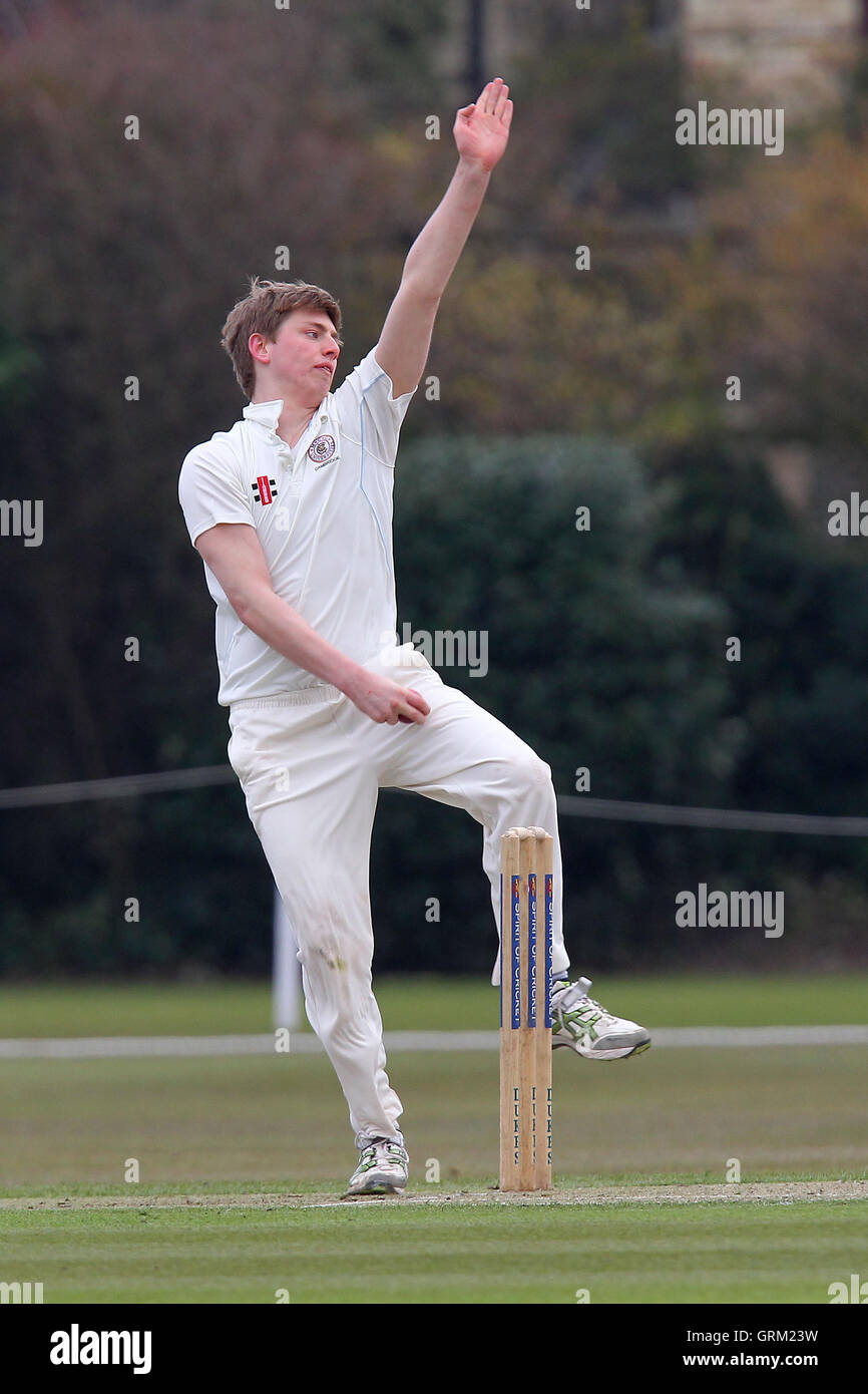 Cricket ccc Banque de photographies et d’images à haute résolution - Alamy