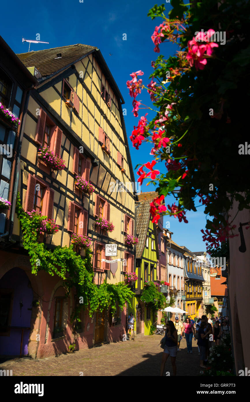 France, Haut-Rhin (68), route des vins, rue du village de Riquewihr ...