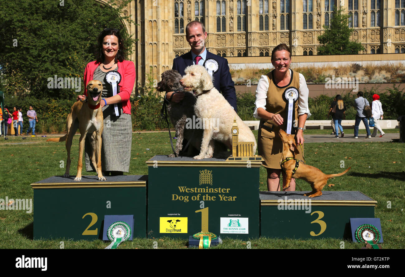 Club lurcher Banque de photographies et d’images à haute résolution - Alamy
